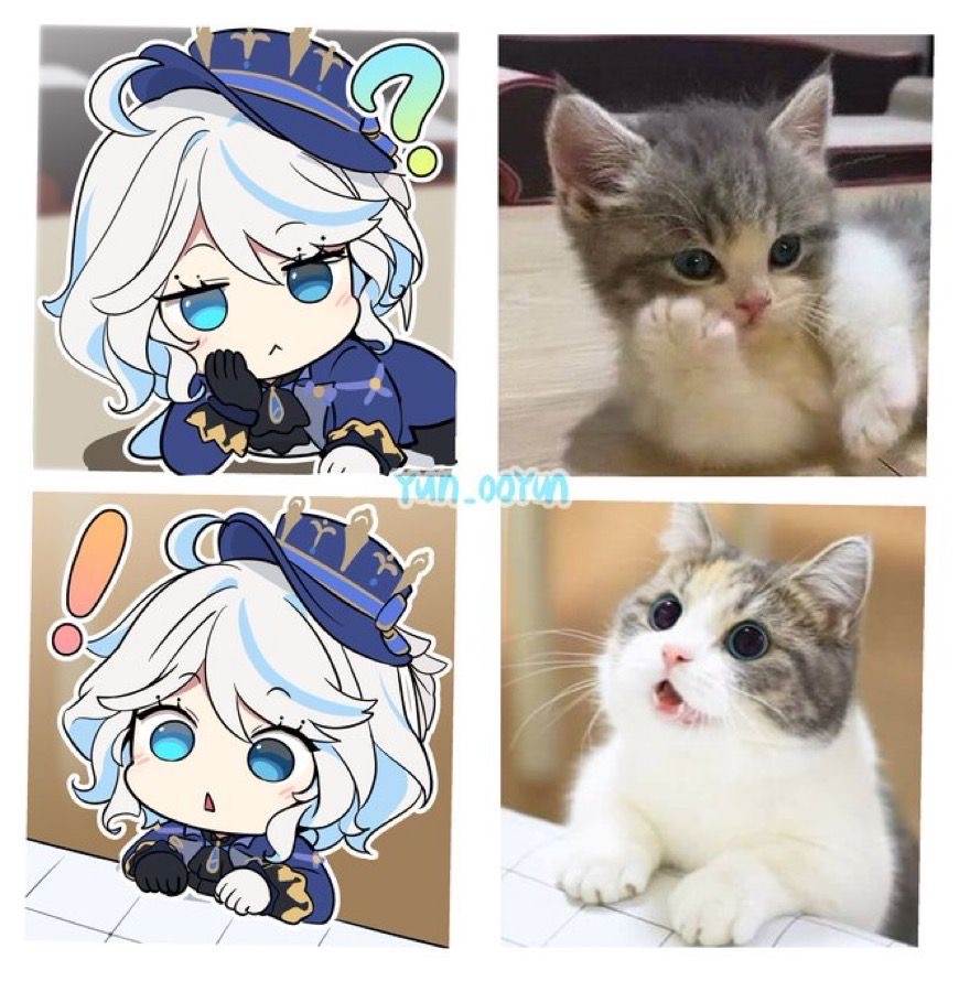 cat and Furina Genshin Impact | HoYoLAB