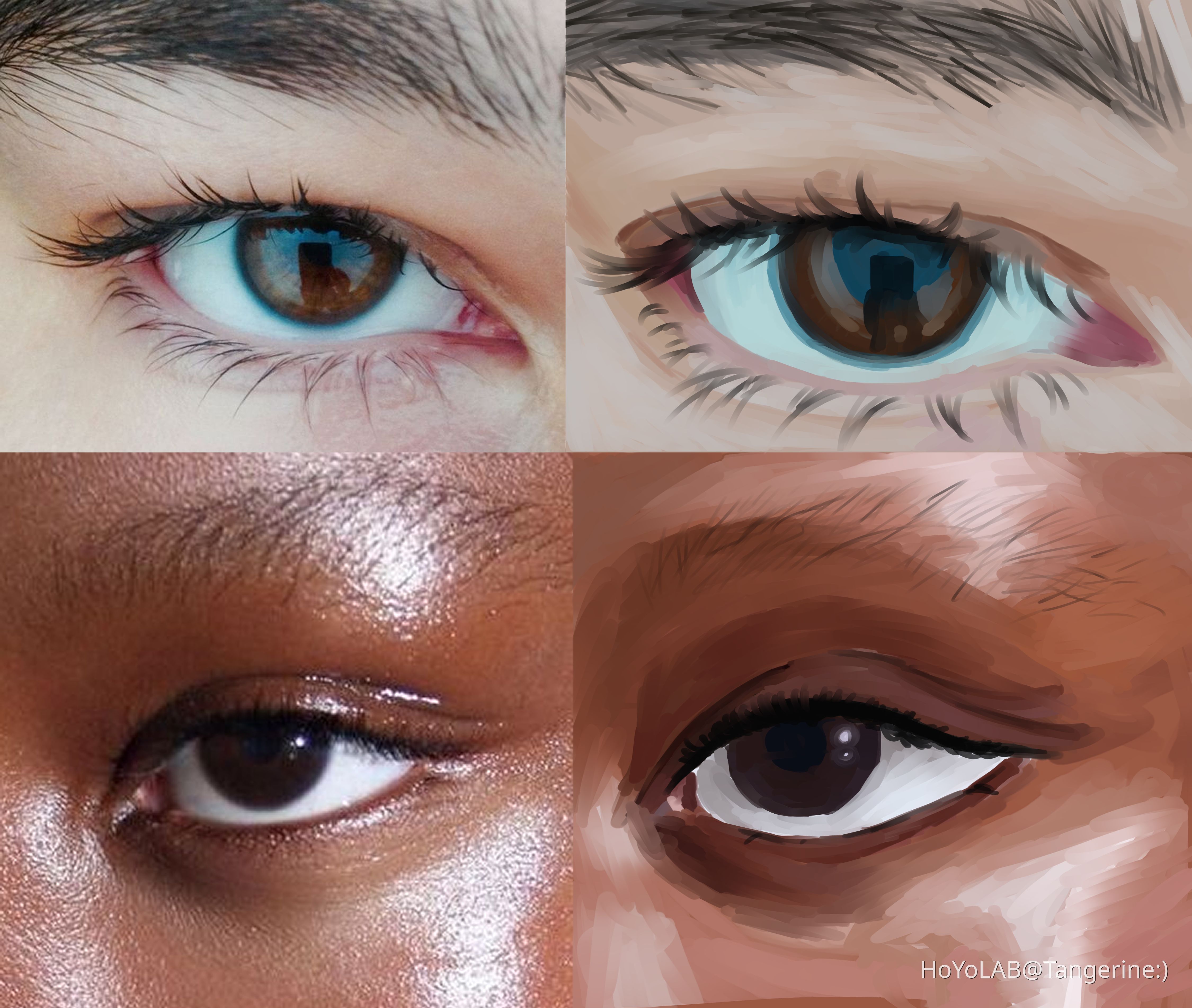 Eye Studies | HoYoLAB