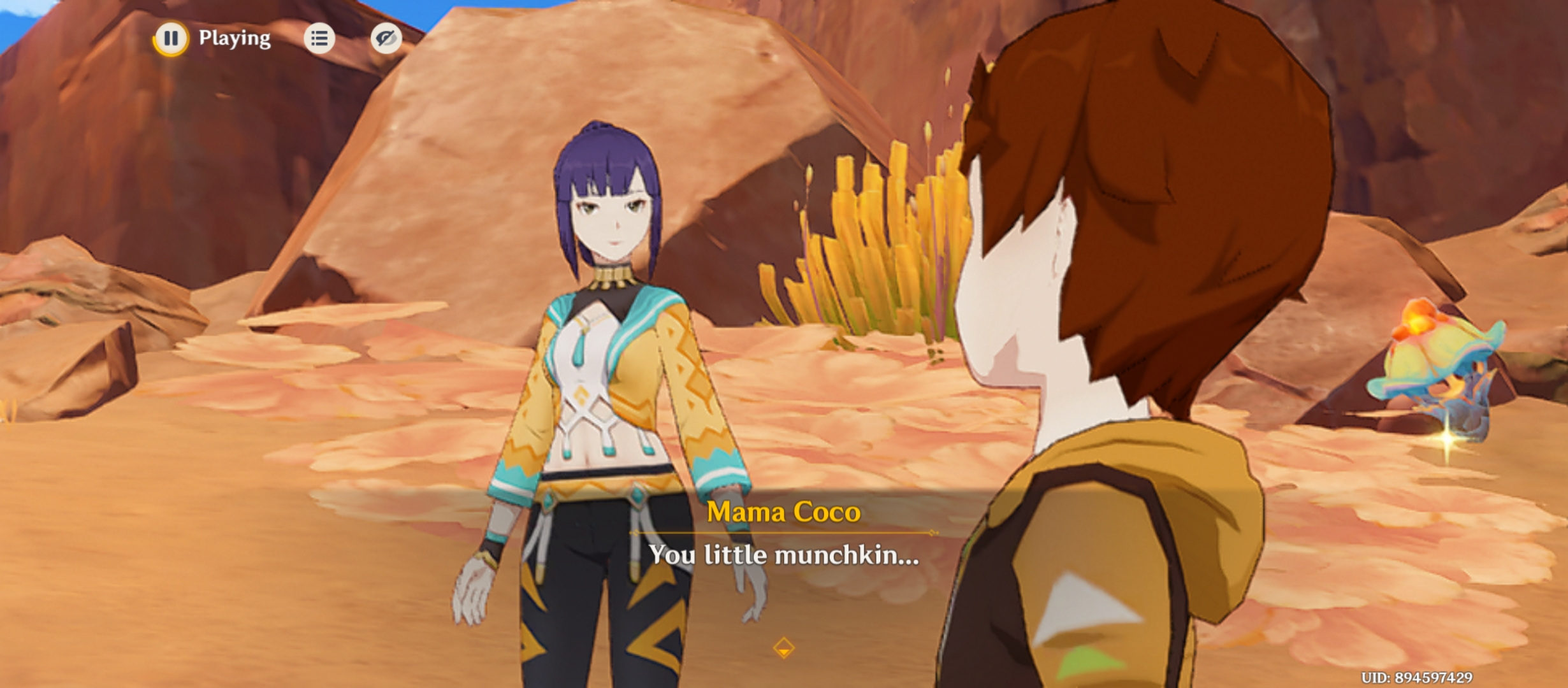 Mama coco Genshin Impact | HoYoLAB