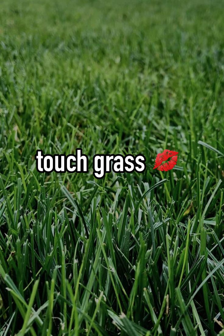 On this update go touch some grass Genshin Impact | HoYoLAB