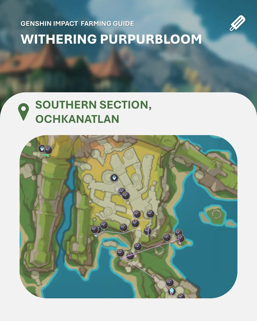 Withering Purpurbloom | Material Collection Guide [v5.2] Genshin Impact ...