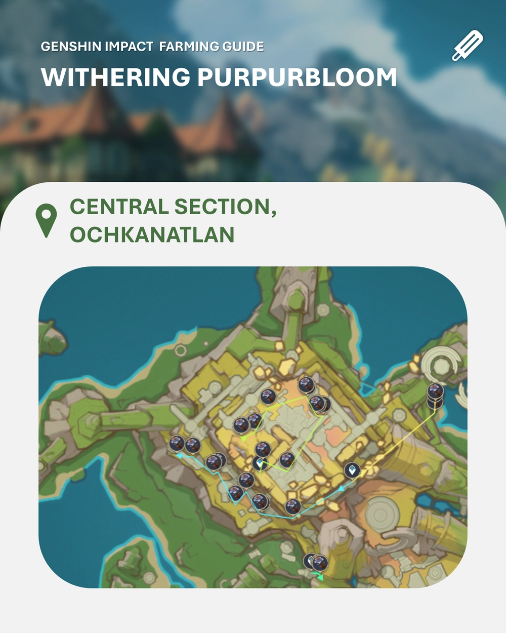 Withering Purpurbloom | Material Collection Guide [v5.2] Genshin Impact ...