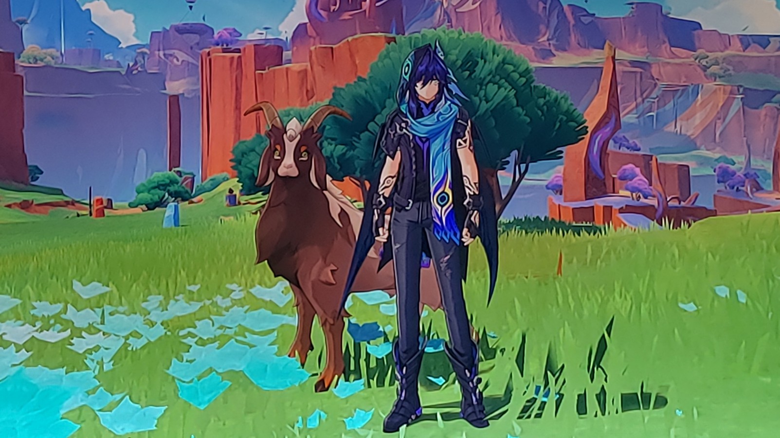 Chocolate Goats!!!!! Genshin Impact | HoYoLAB