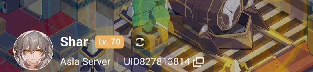 My uid, because that's very important. Honkai: Star Rail | HoYoLAB