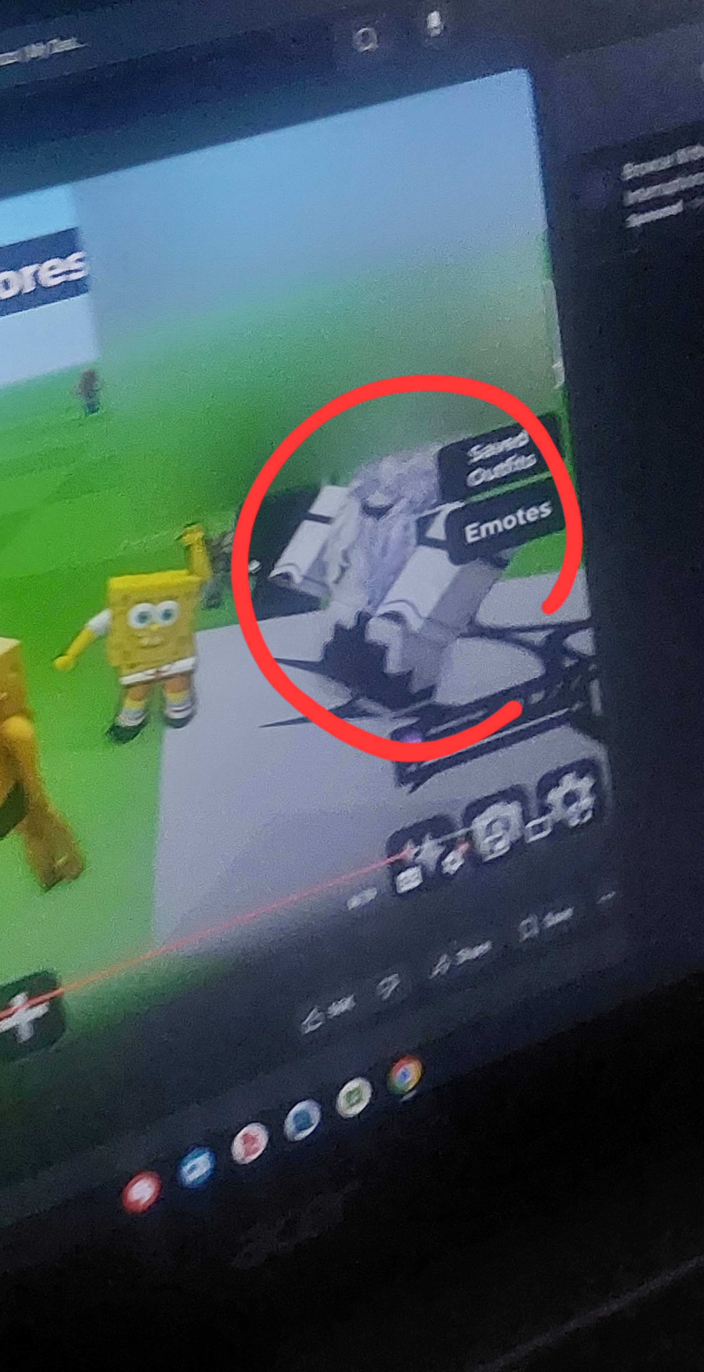 Sigma bungo stray dogs spotted in flamingo video real not clickbait ...