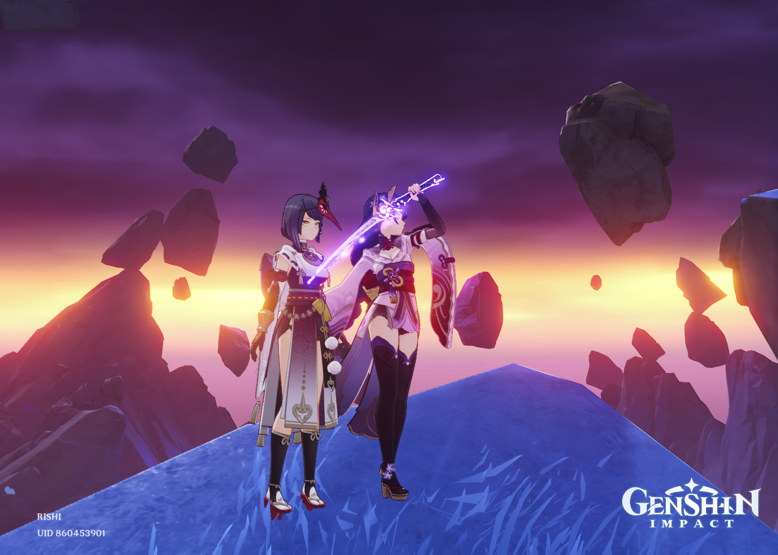 Sus behaviour by Raiden Shotgun Genshin Impact | HoYoLAB