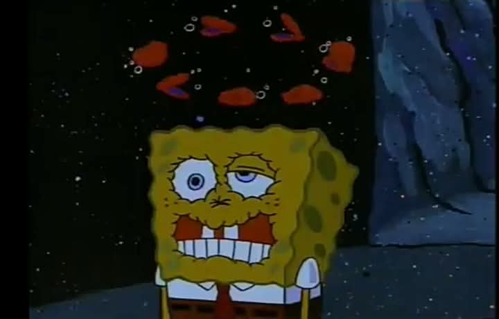 Spongebob dizzy and can't chase bus | HoYoLAB