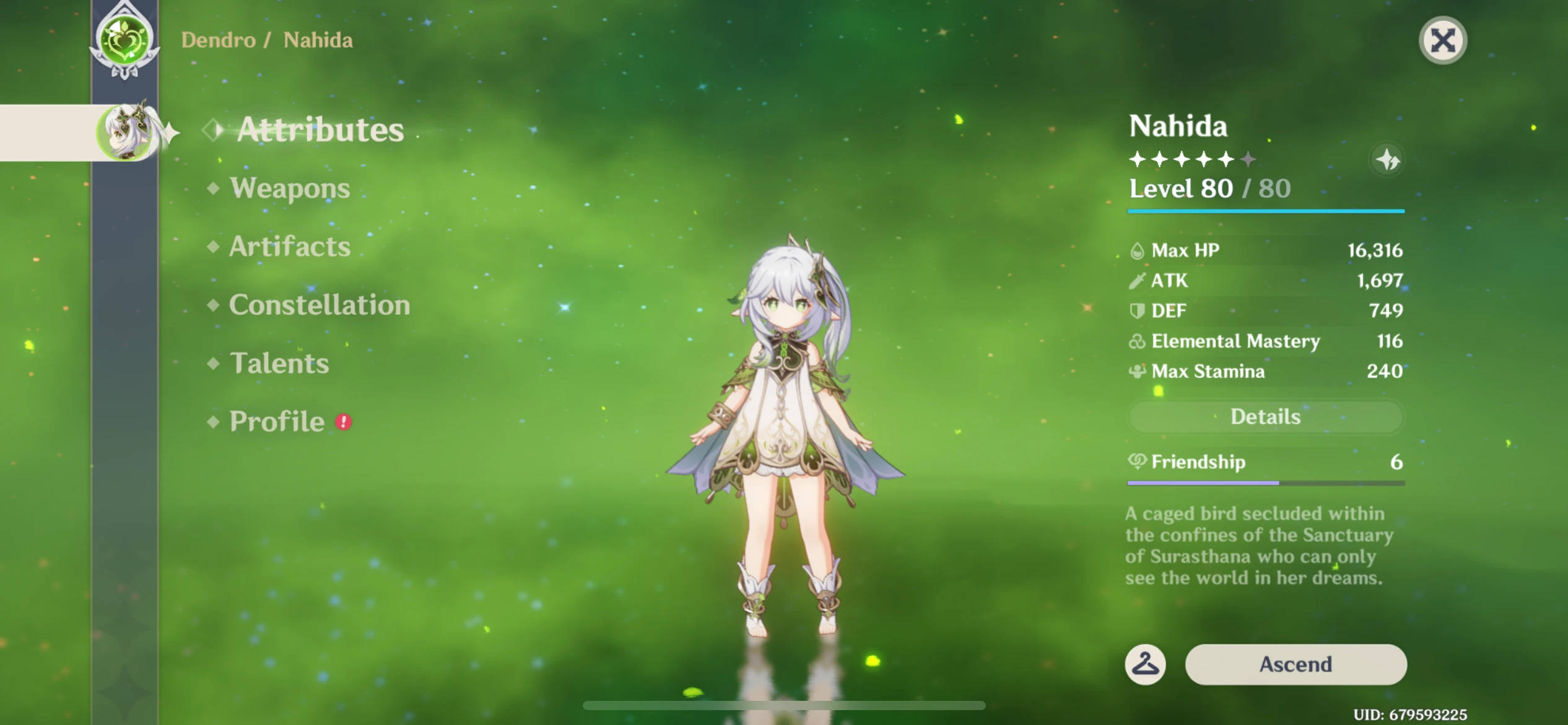 Valid nahida build? Genshin Impact | HoYoLAB