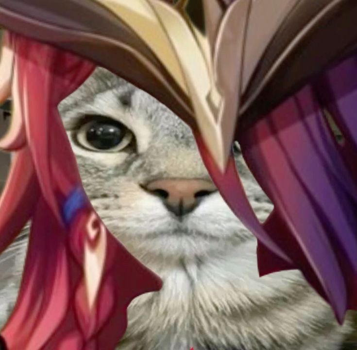 Chaska Genshin Impact | HoYoLAB