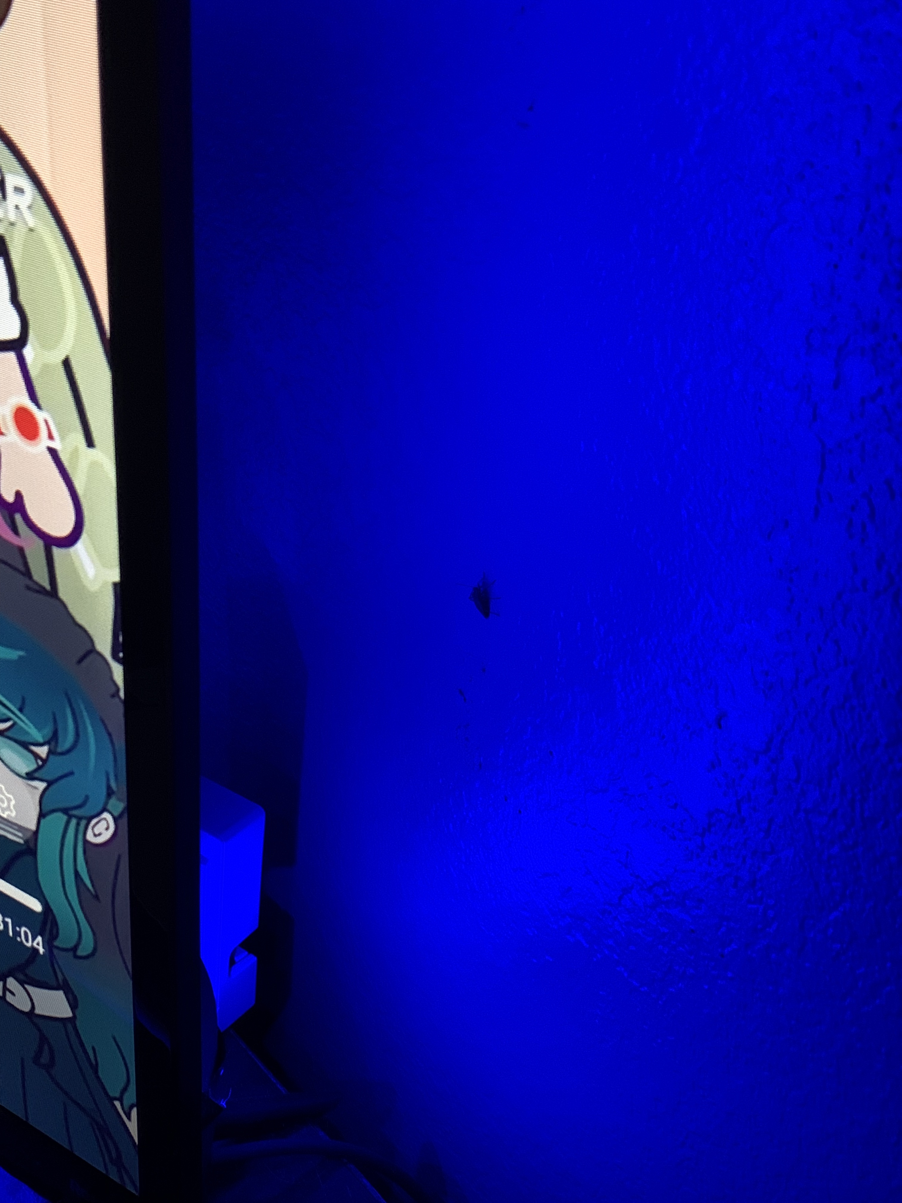 yo chill guy was on my while listening to kikuo w mee | HoYoLAB