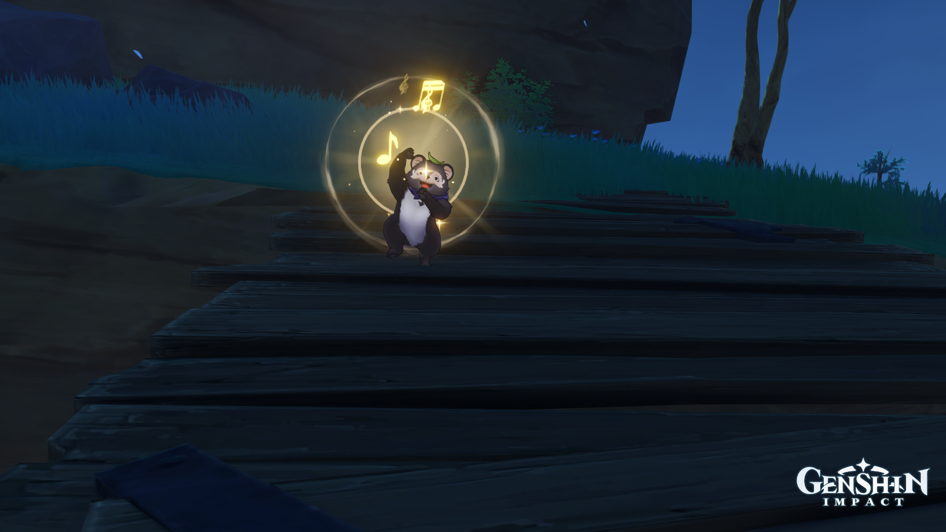 Finally got good front photos of the Tanuki Genshin Impact | HoYoLAB