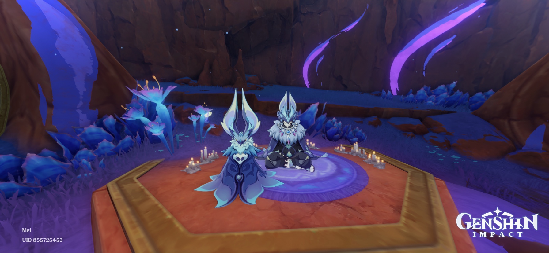 Night of the Master Wing Genshin Impact | HoYoLAB