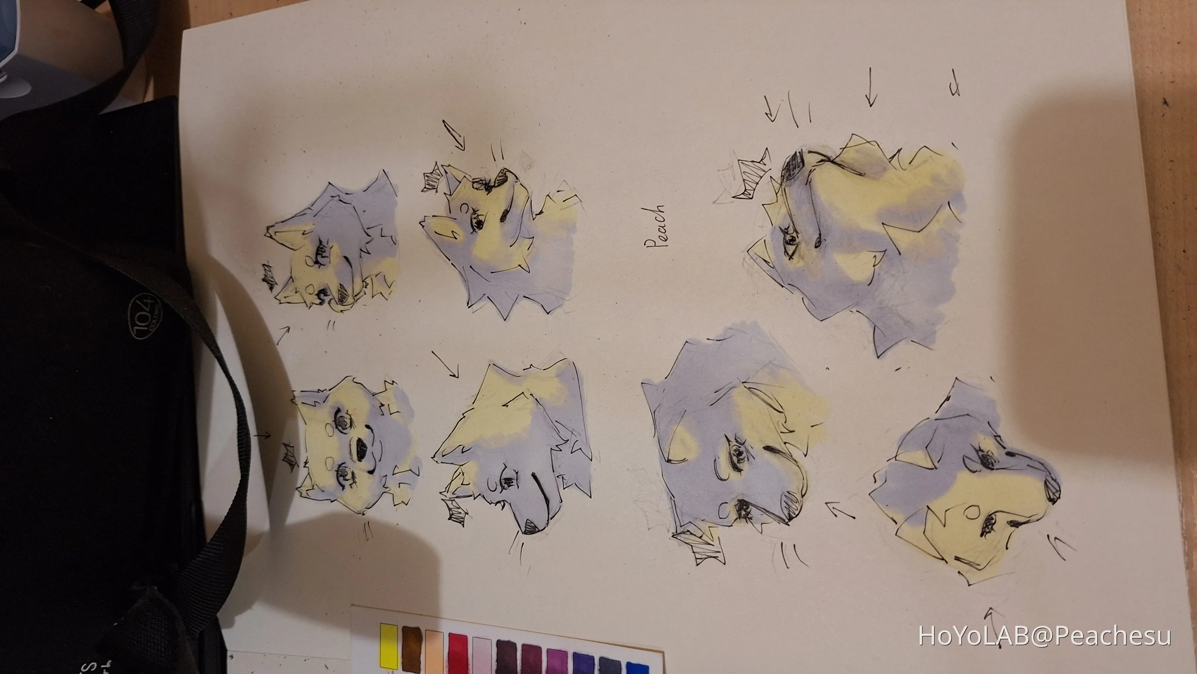 did some art practice with my mascot Peach | HoYoLAB