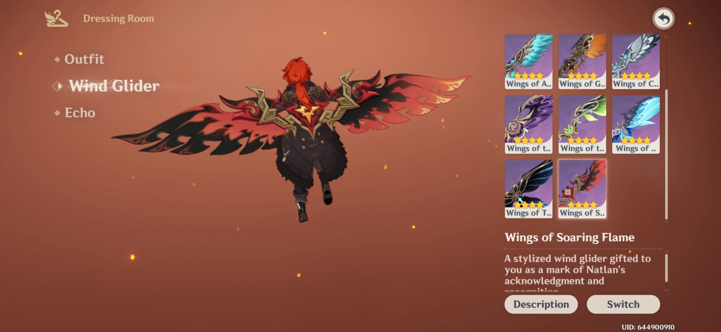 Got Natlan's Wings! Which characters would you put them on? Genshin ...