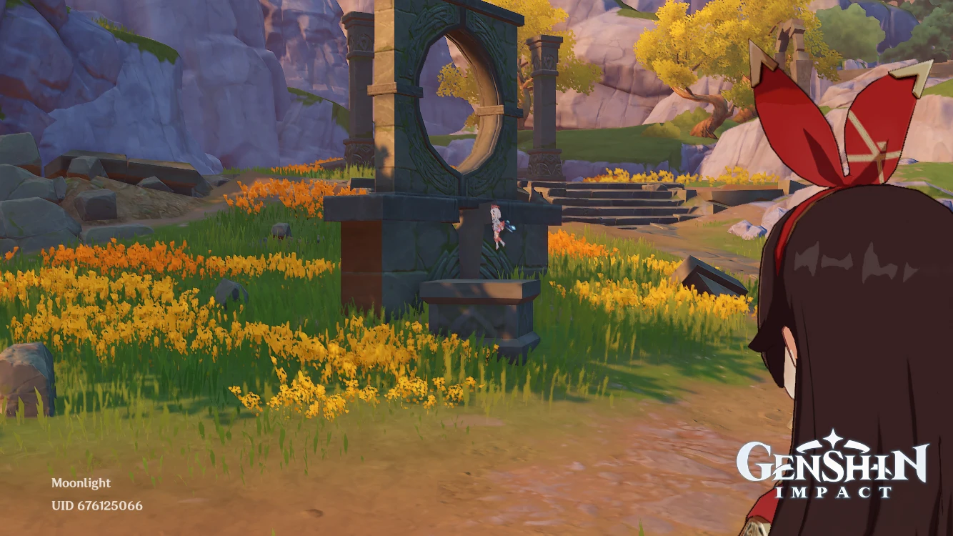 Wild paimon… Genshin Impact | HoYoLAB