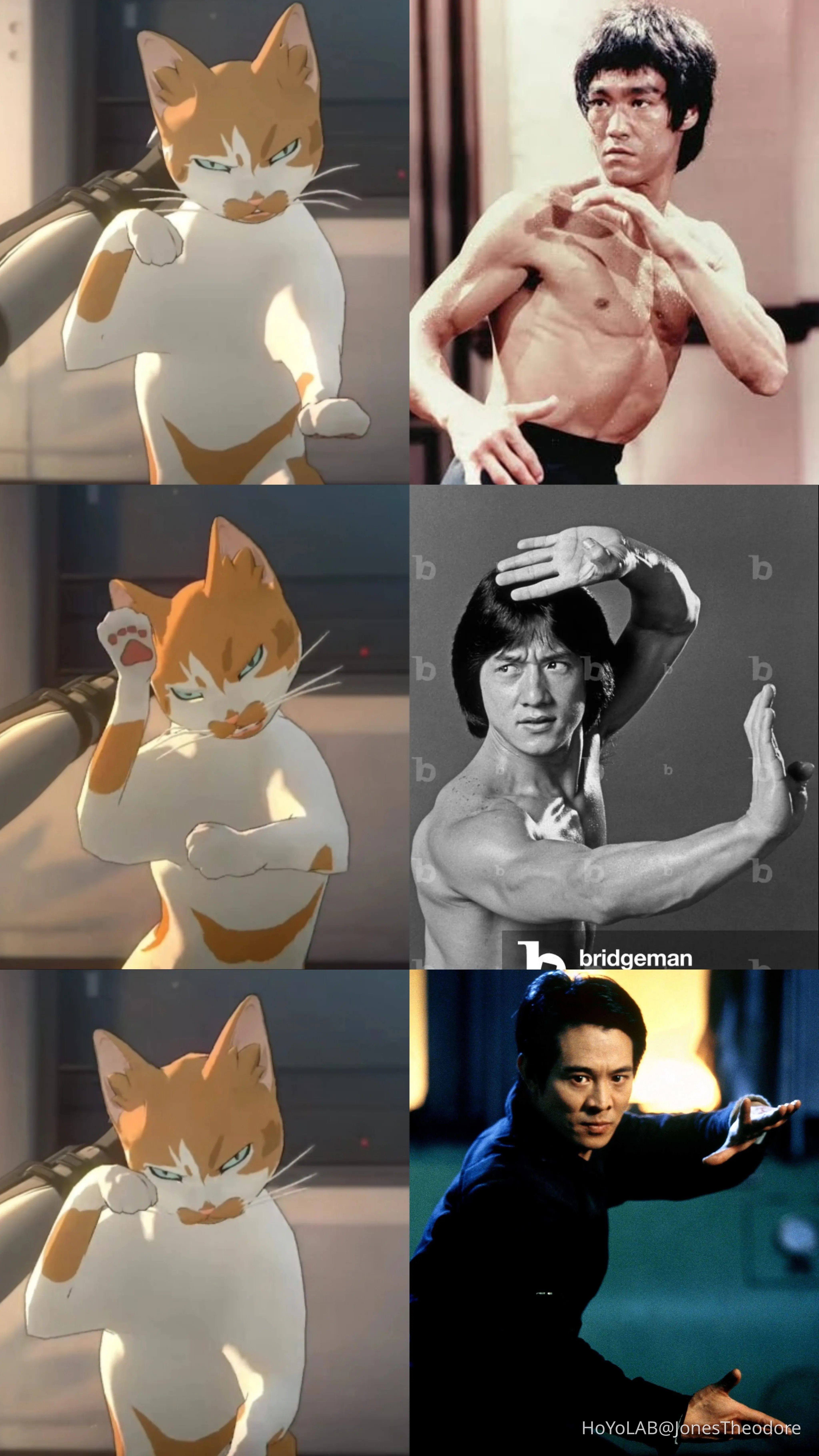 Miyabi's Cat Sensei Zenless Zone Zero | HoYoLAB