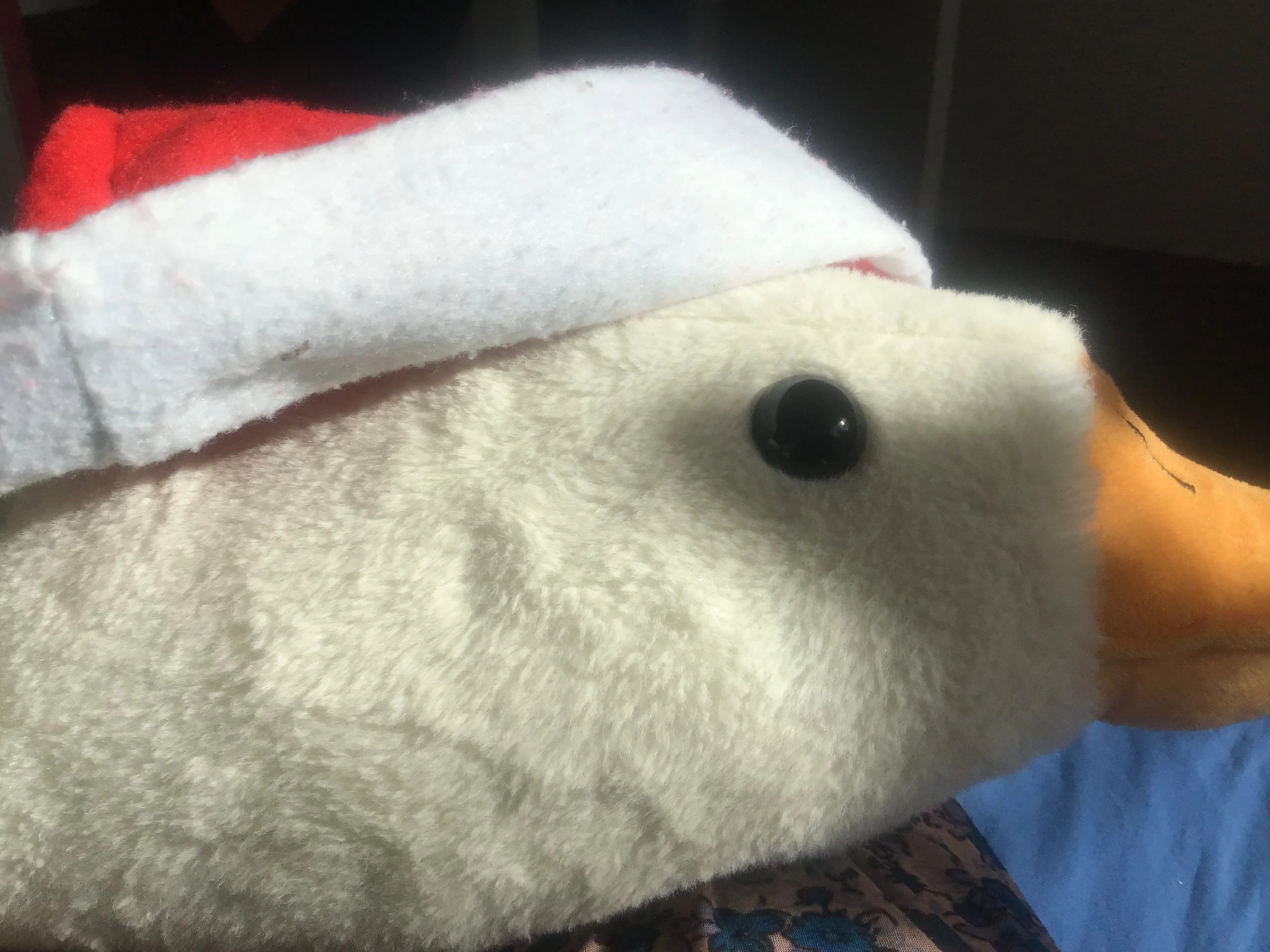 MERRY GOOSEMAS 🪿 🎄:DD(Christmas themed!!!) | HoYoLAB