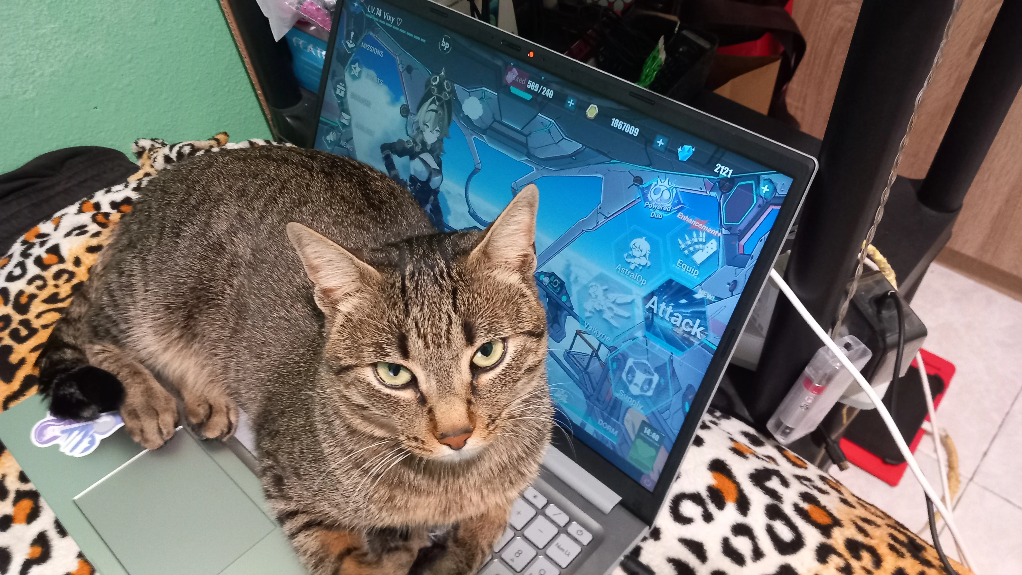 Jinx's a HI3 fan Honkai Impact 3rd | HoYoLAB