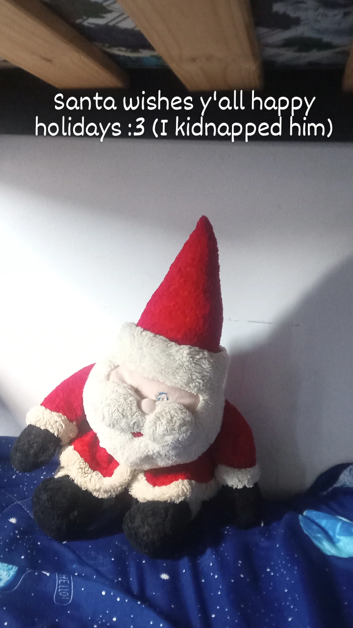 Real images of kidnapped Santa | HoYoLAB
