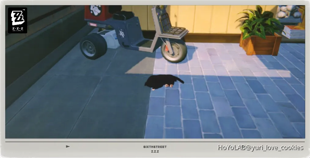 Taking Pictures of Cats in ZZZ Zenless Zone Zero | HoYoLAB