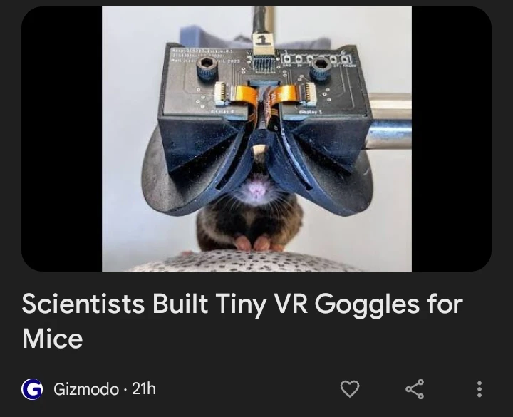 no way Zenless Zone Zero | HoYoLAB