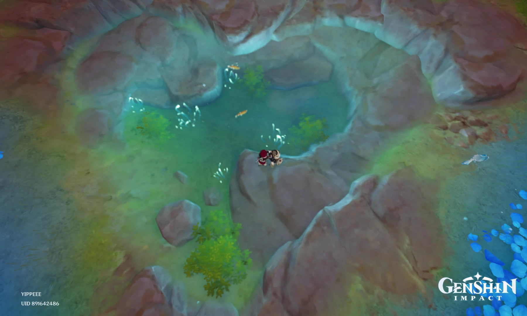 yippe !!! Genshin Impact | HoYoLAB