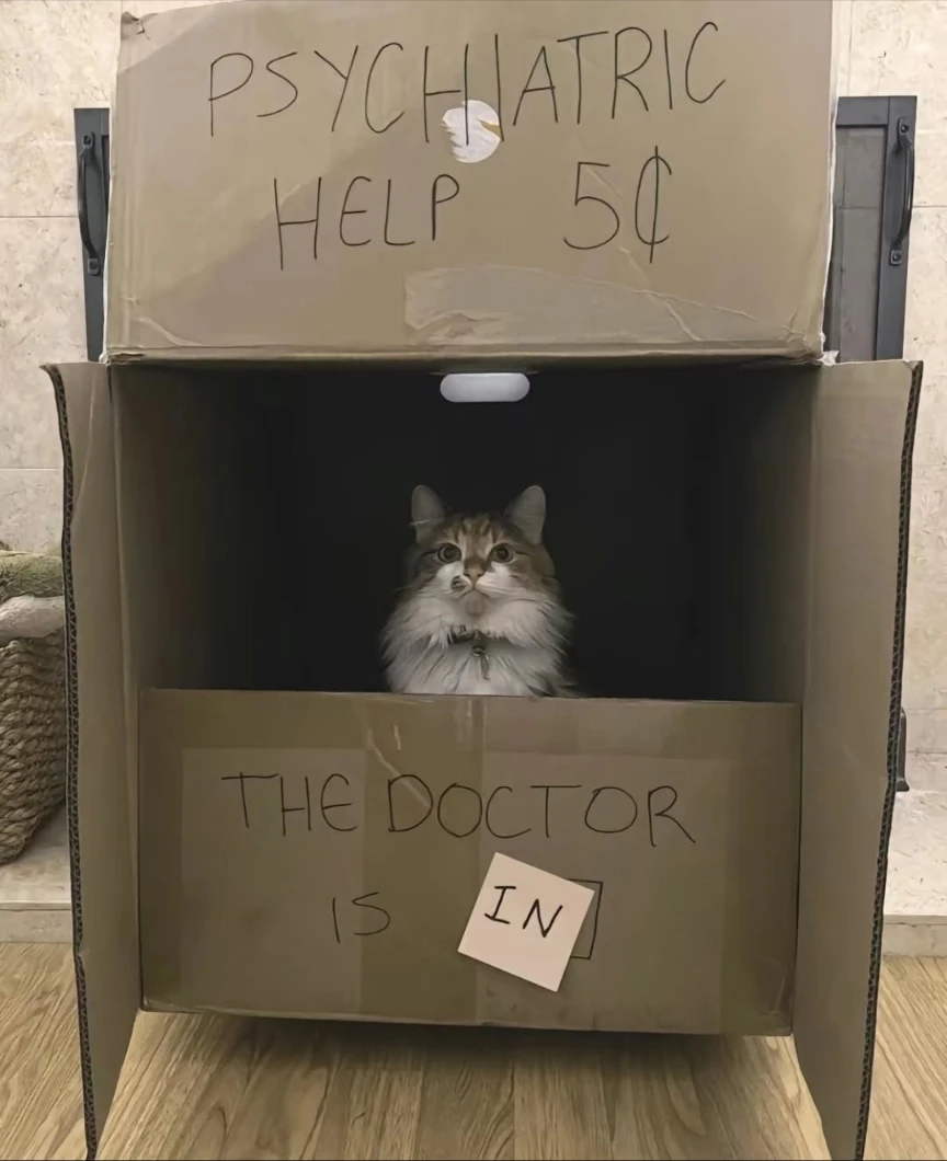 guys is this doctor legit? he gave me ibuprofen | HoYoLAB