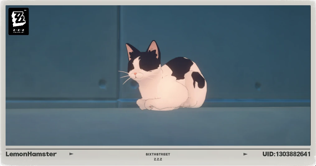 THE CAT IS SO BIG Zenless Zone Zero | HoYoLAB