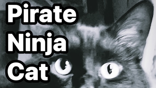 Finally got my Pyro treasure compass thanks to the bounties treasure ...