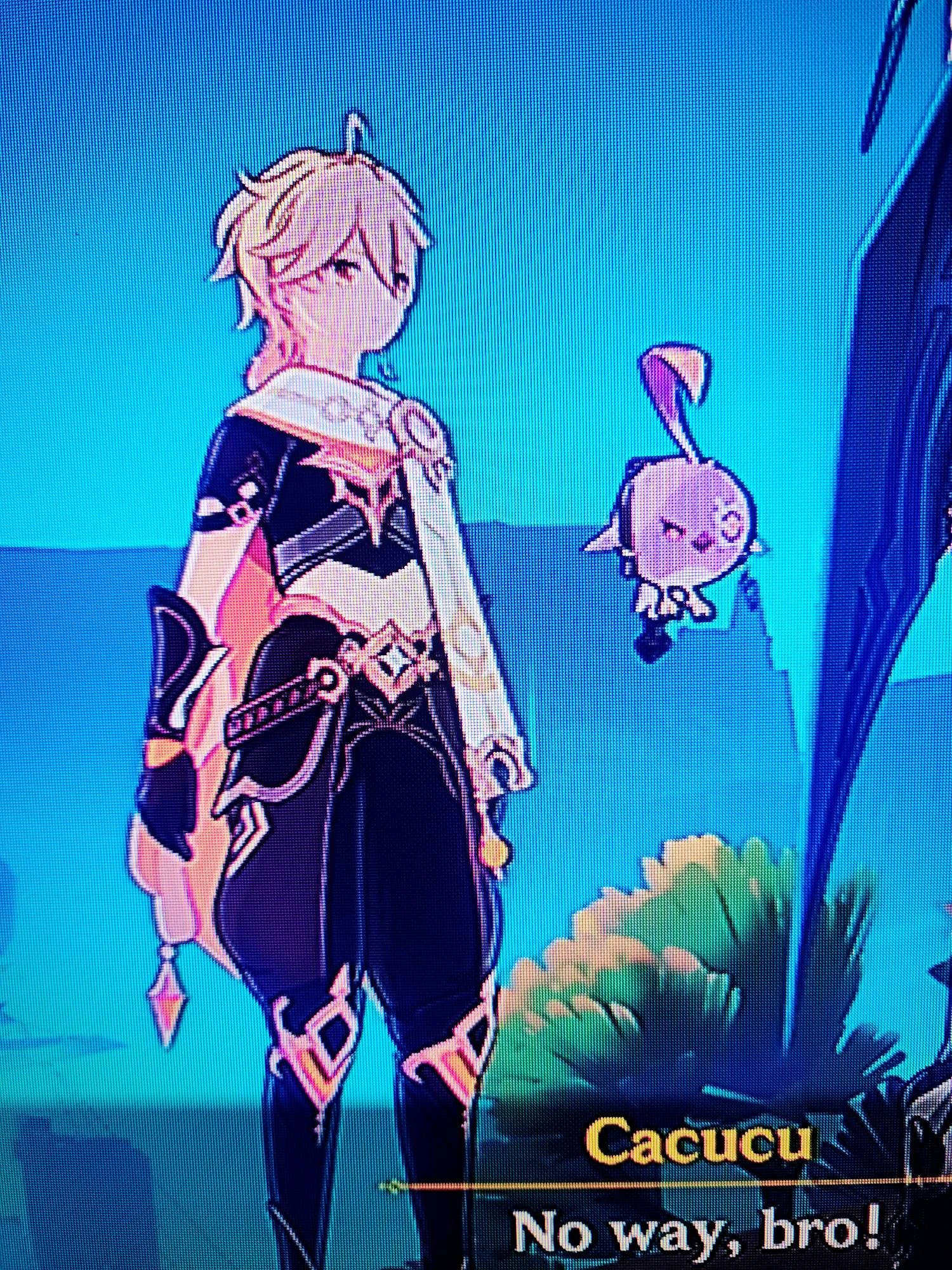 Cacucu the bro bird Genshin Impact | HoYoLAB