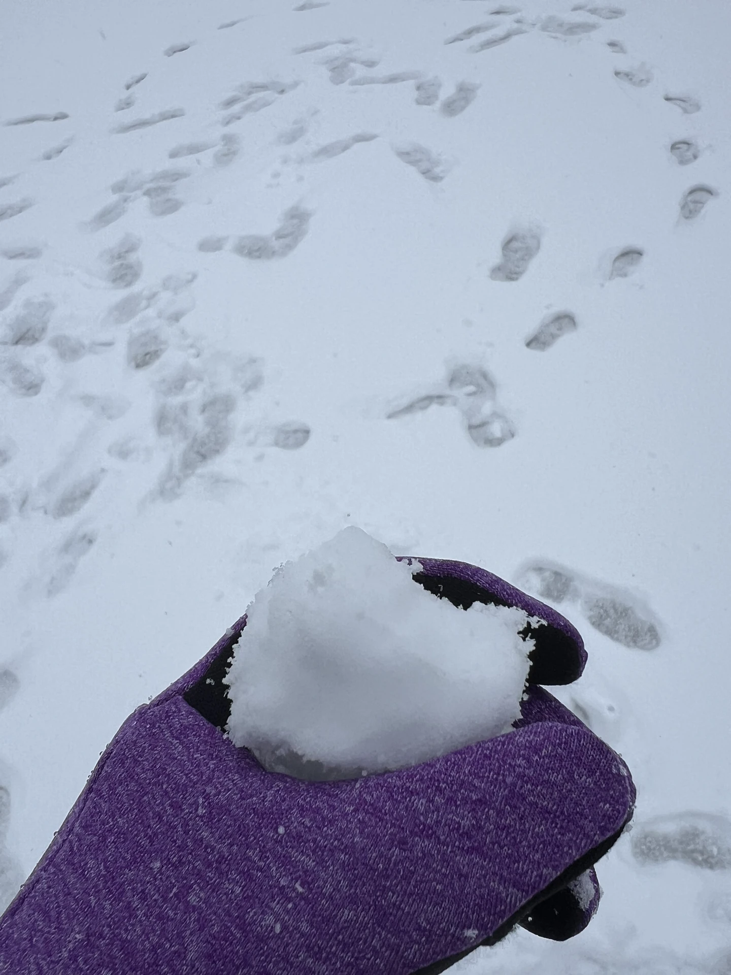 “Once the snow is thick enough, we can eat it” -Xiao Genshin Impact ...