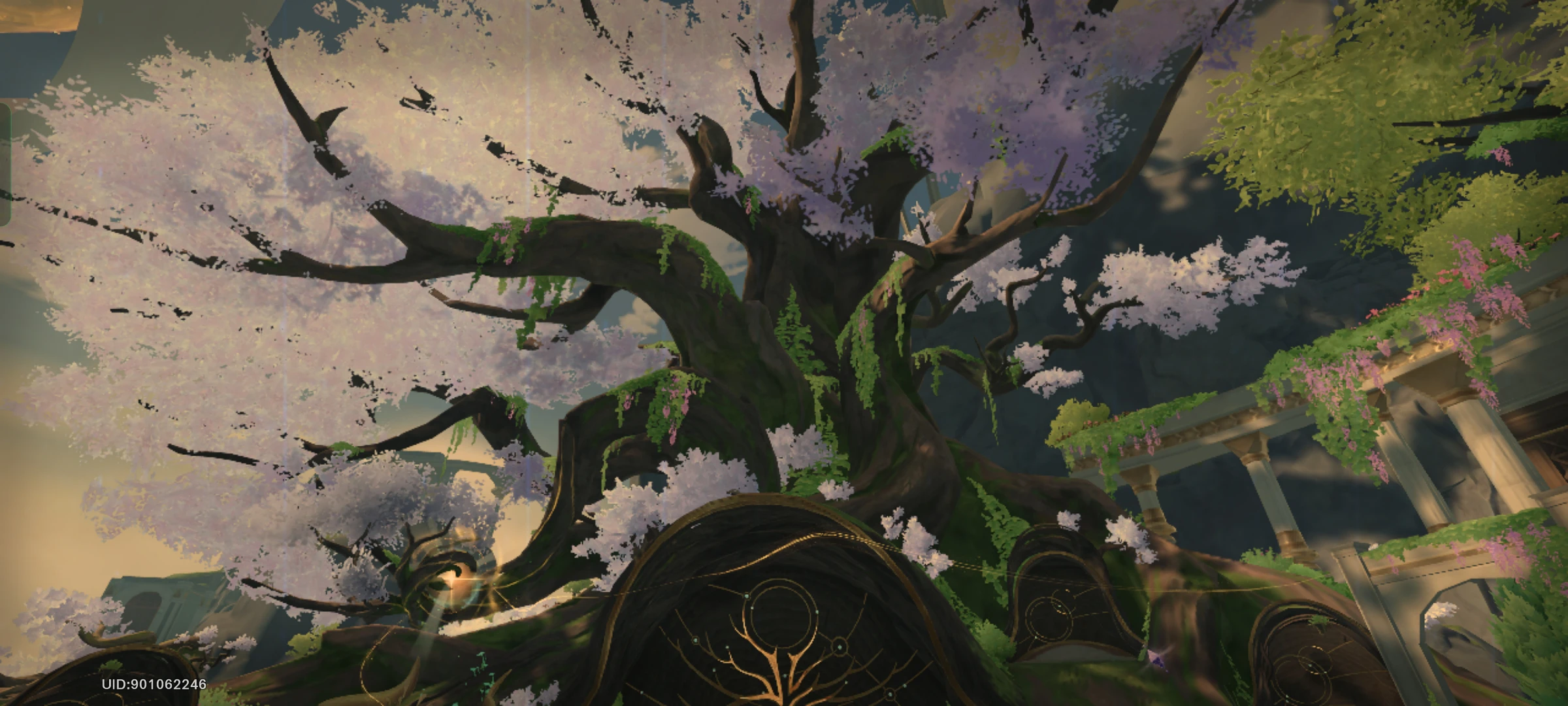 真好看的tree~ Honkai: Star Rail | HoYoLAB