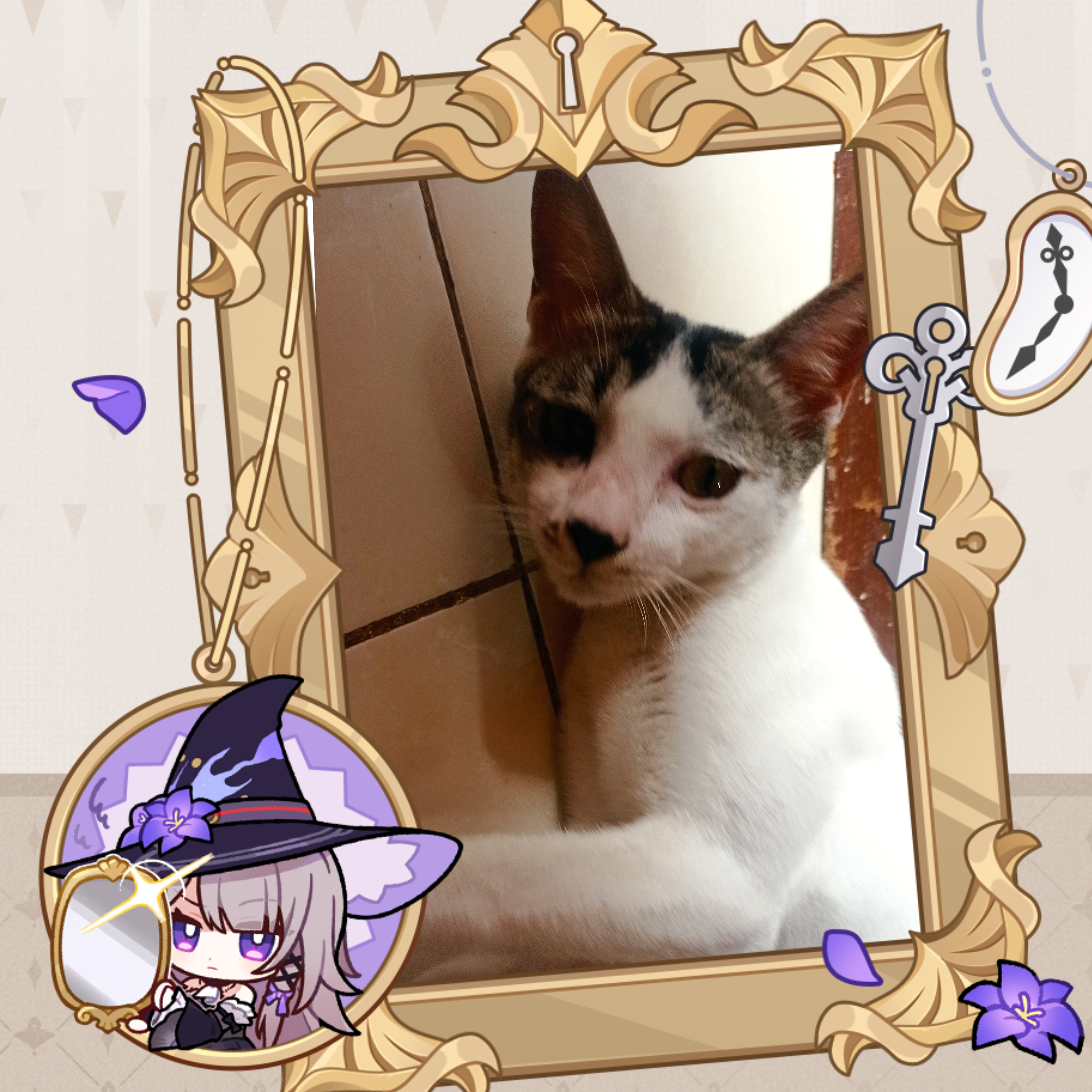 Let's discuss below! is my cat suitable to be the herta's bodyguard ...