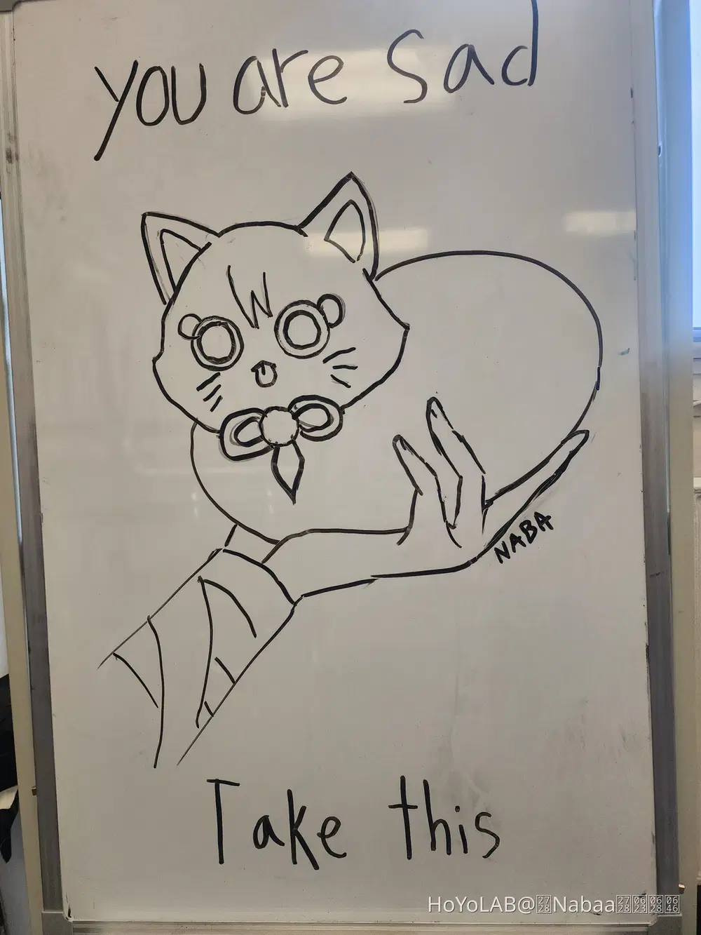 how to draw a cat on a whiteboard