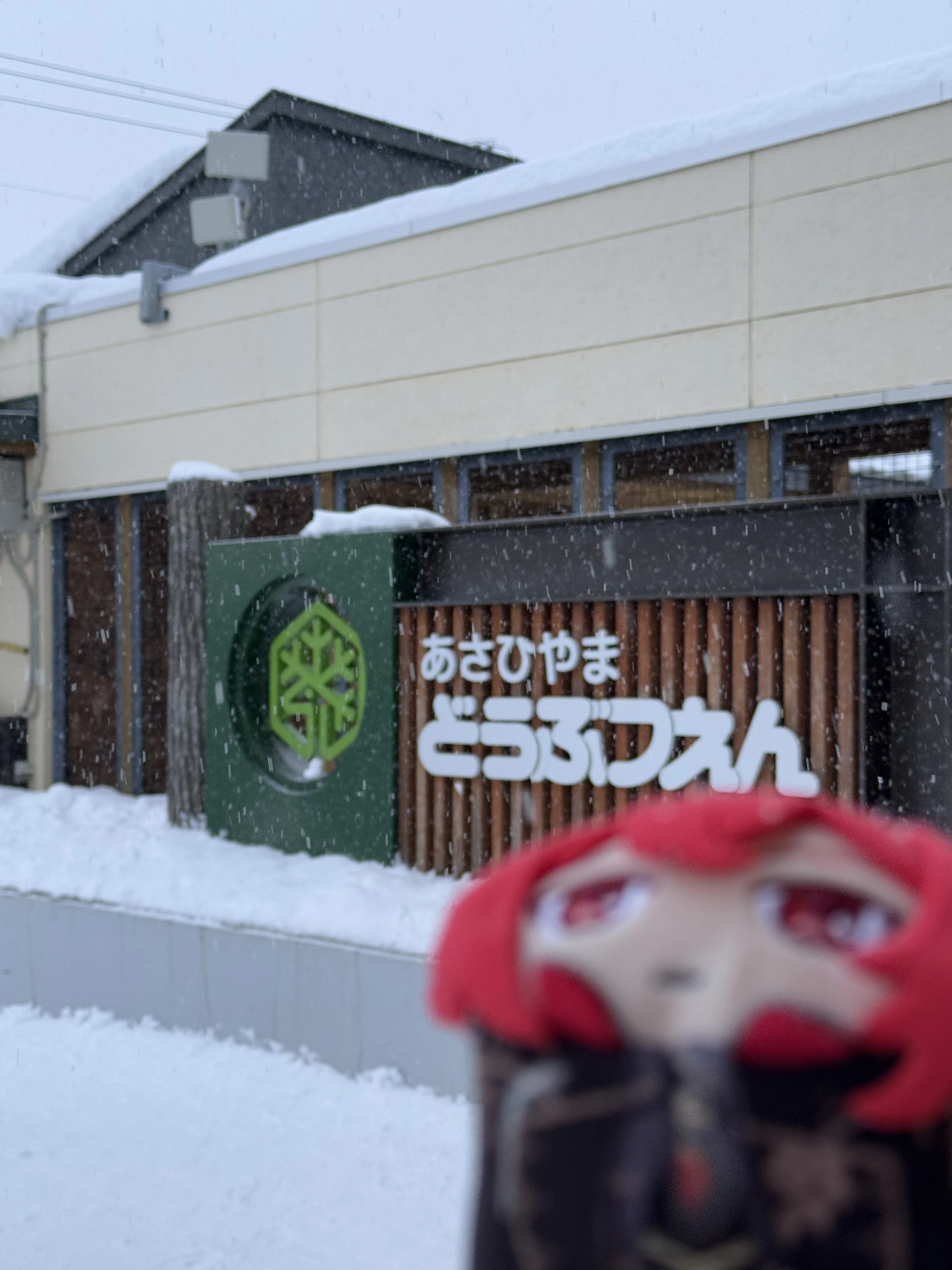 dulic had so much fun!! Genshin Impact | HoYoLAB