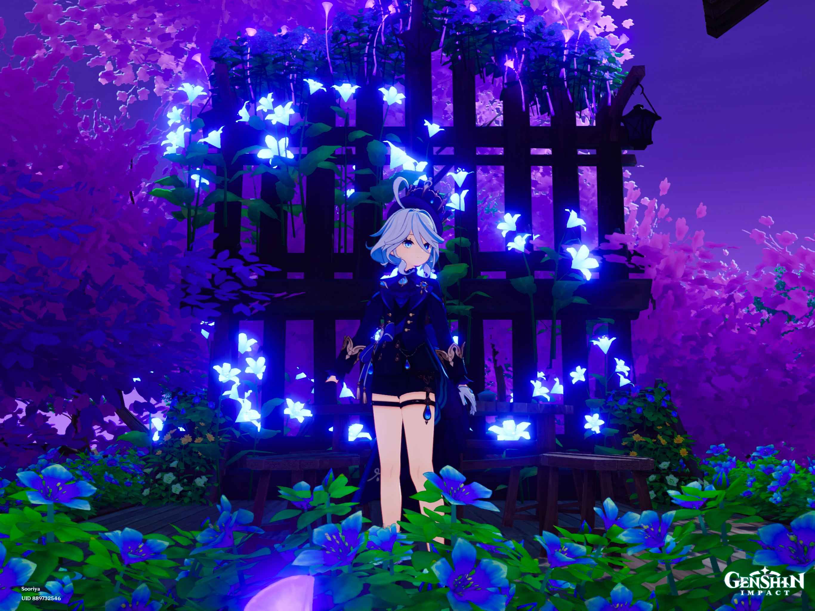 Furina Glows Even in the Dark 🌟 💫 Genshin Impact | HoYoLAB