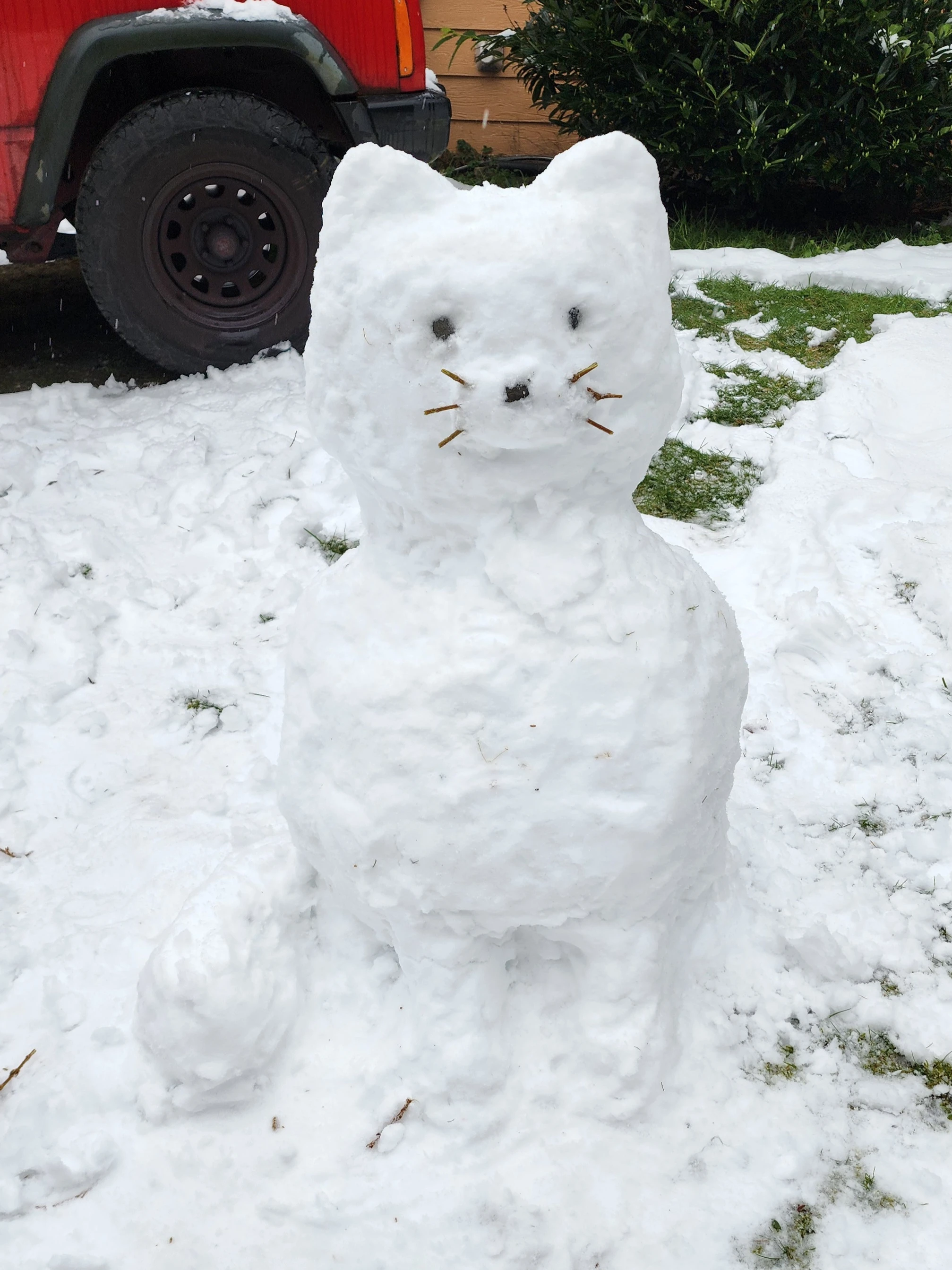 I made a snow cat | HoYoLAB