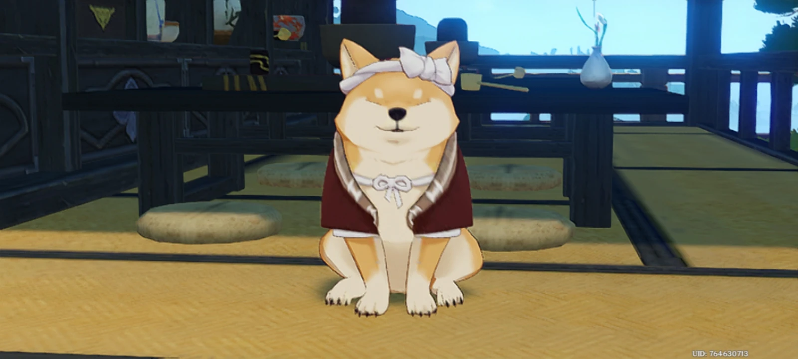 Inazuma dogs 😭 Genshin Impact | HoYoLAB