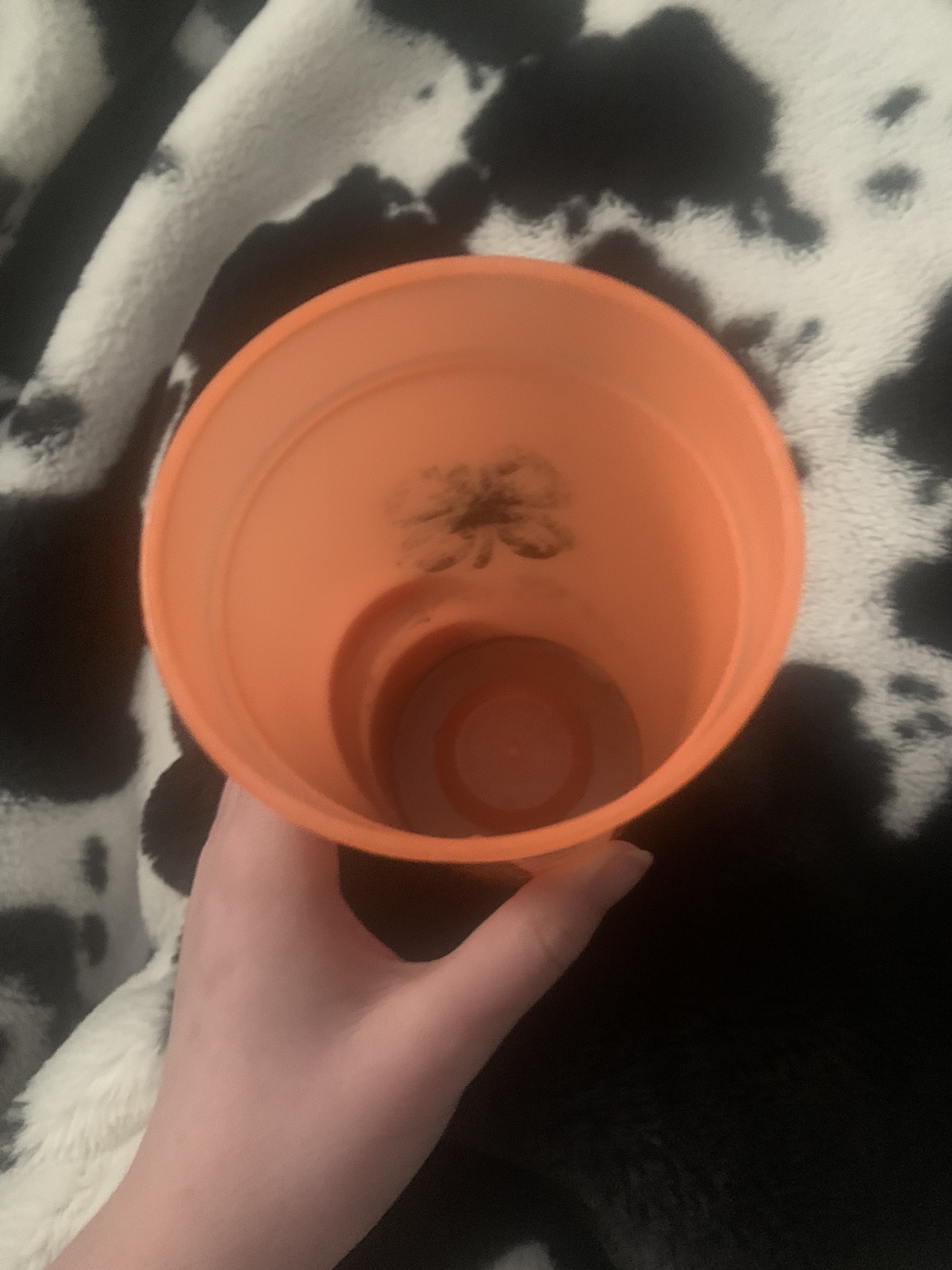 So sick im Neuvillette Genshin Impact | HoYoLAB