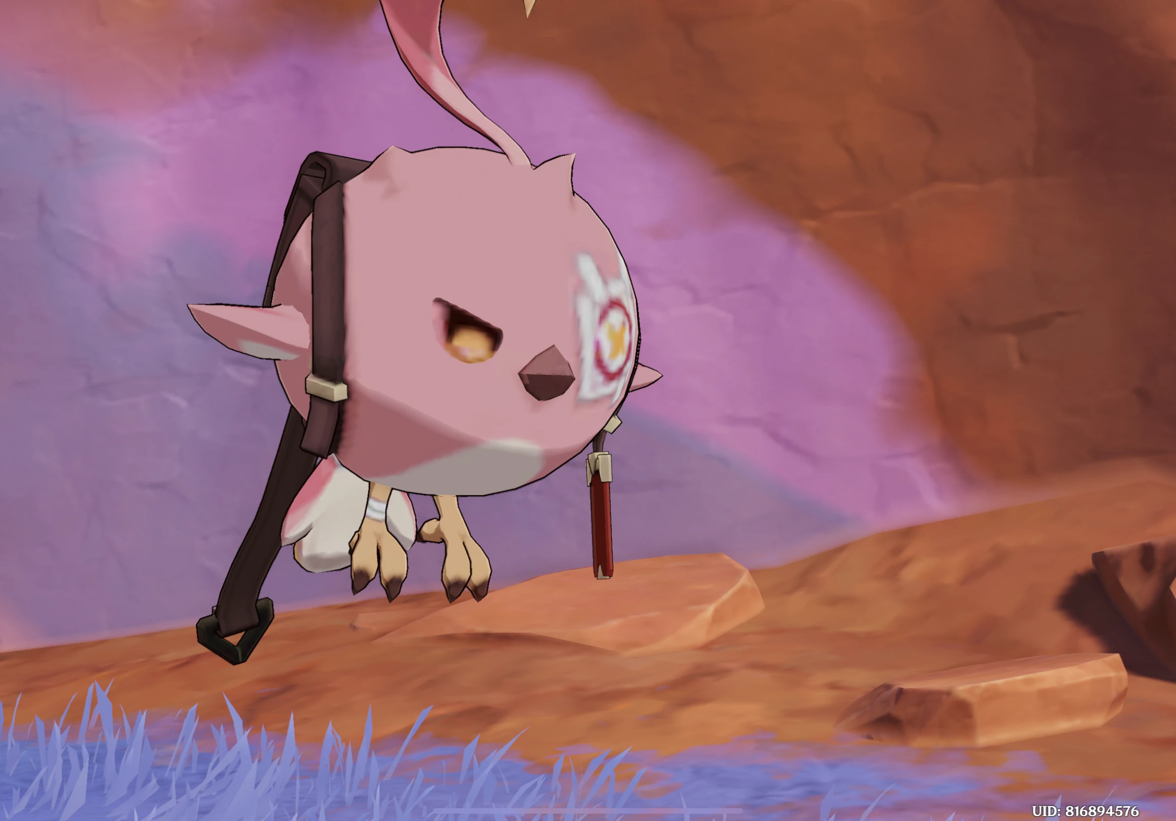 MY BRO CACUCU SPEAKS 🐤 Genshin Impact | HoYoLAB