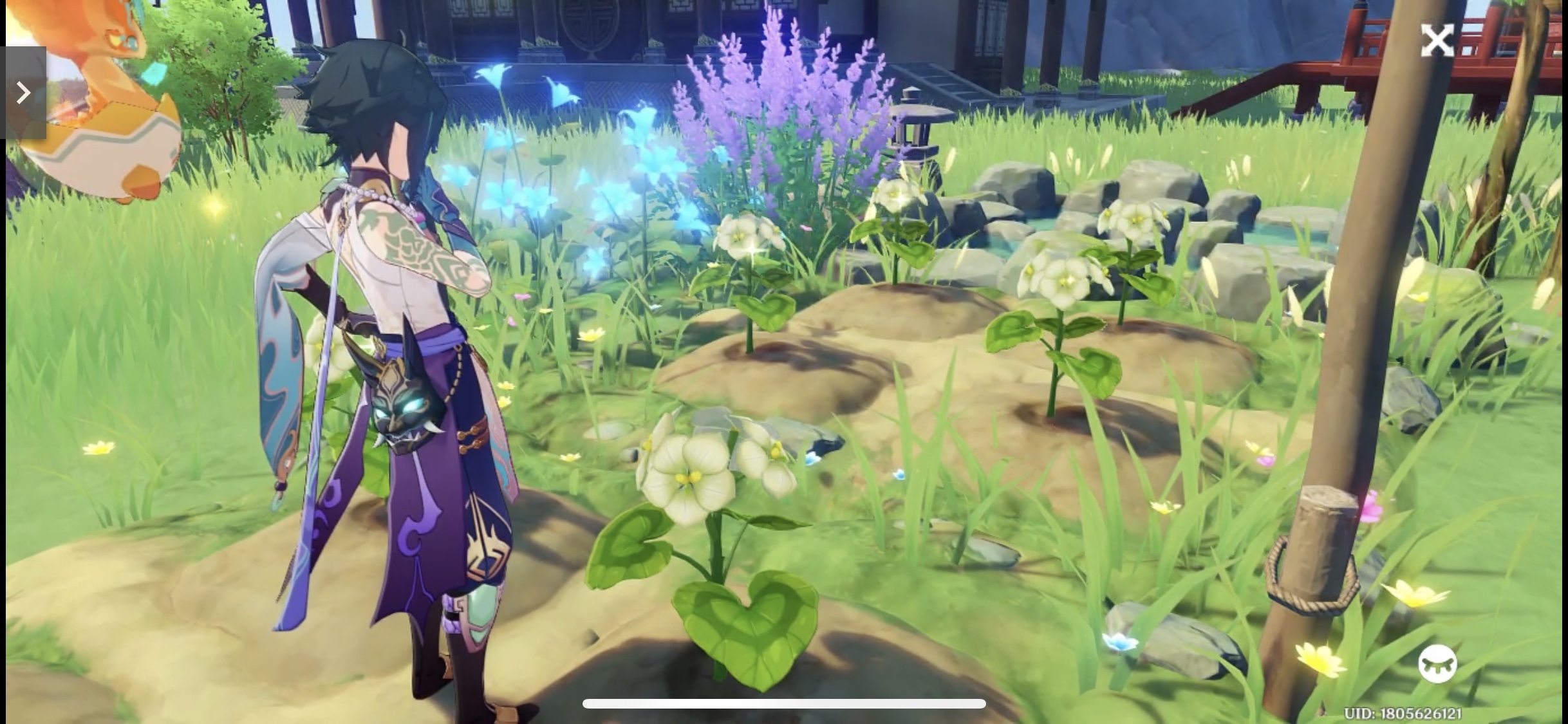 Nhật ký chờ Wanderer rerun ngày 20 Genshin Impact | HoYoLAB