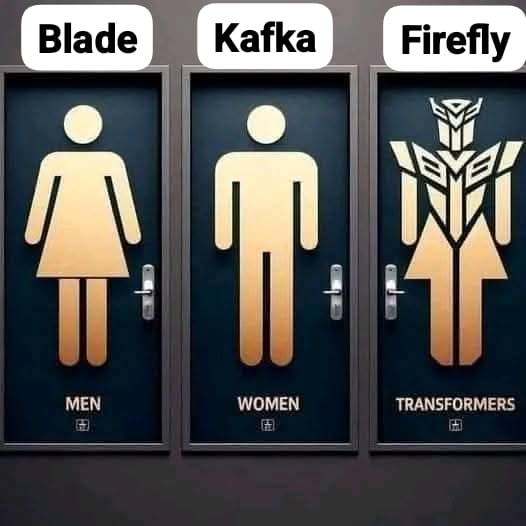 a restroom for every gender .. EVEN TRANSFORMERS Honkai: Star Rail ...