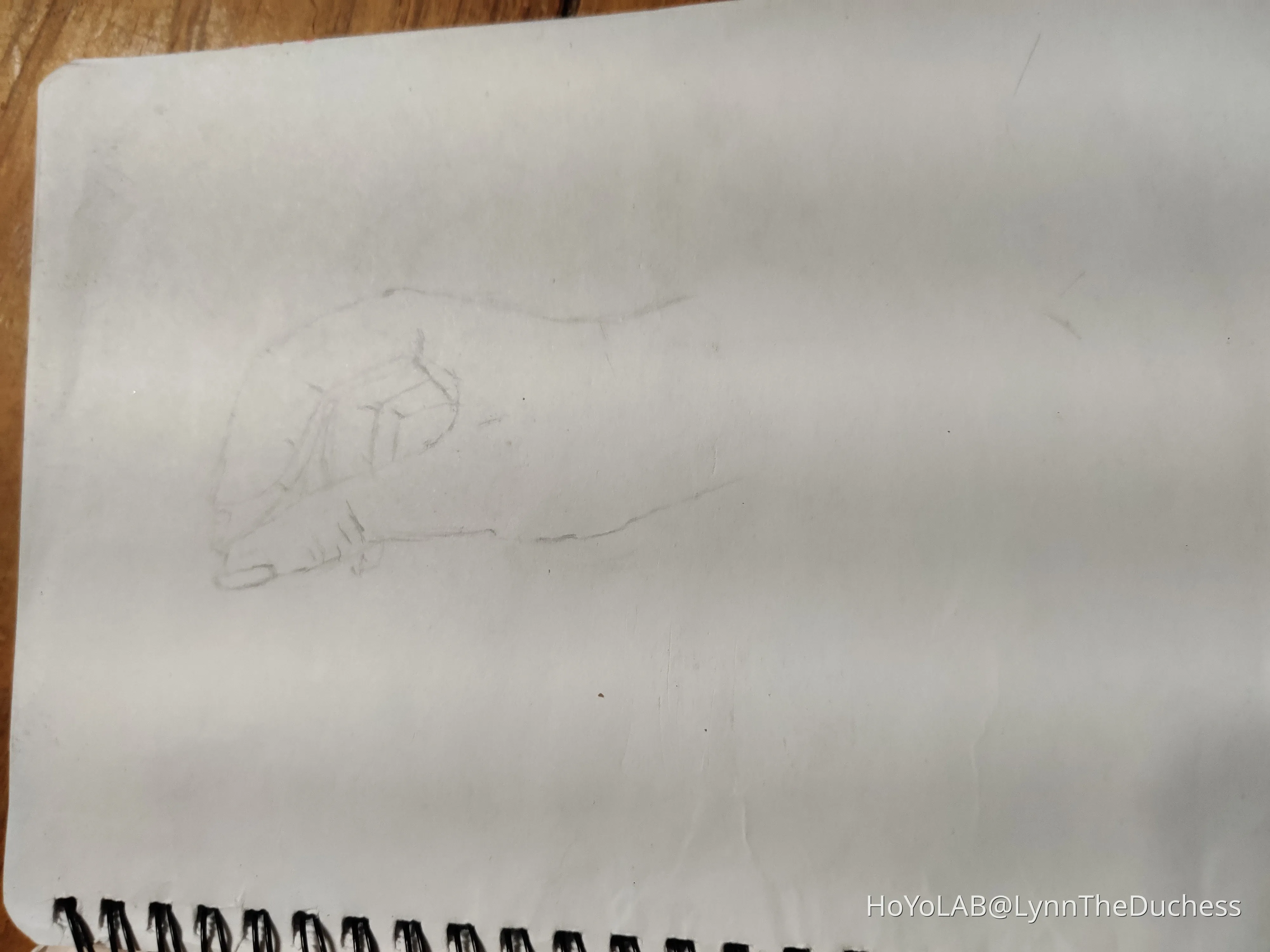 Snapping drawing. | HoYoLAB