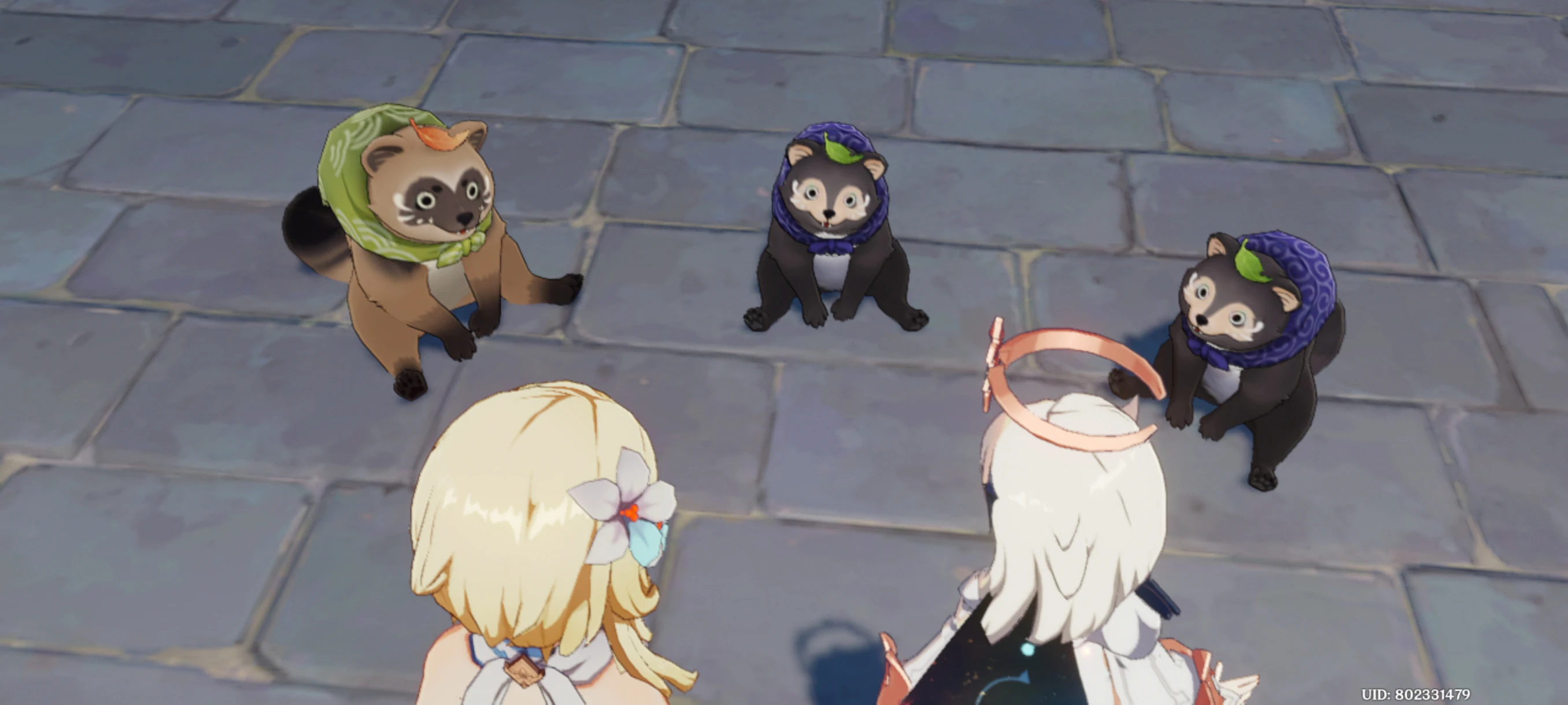 i love those bake-danuki Genshin Impact | HoYoLAB