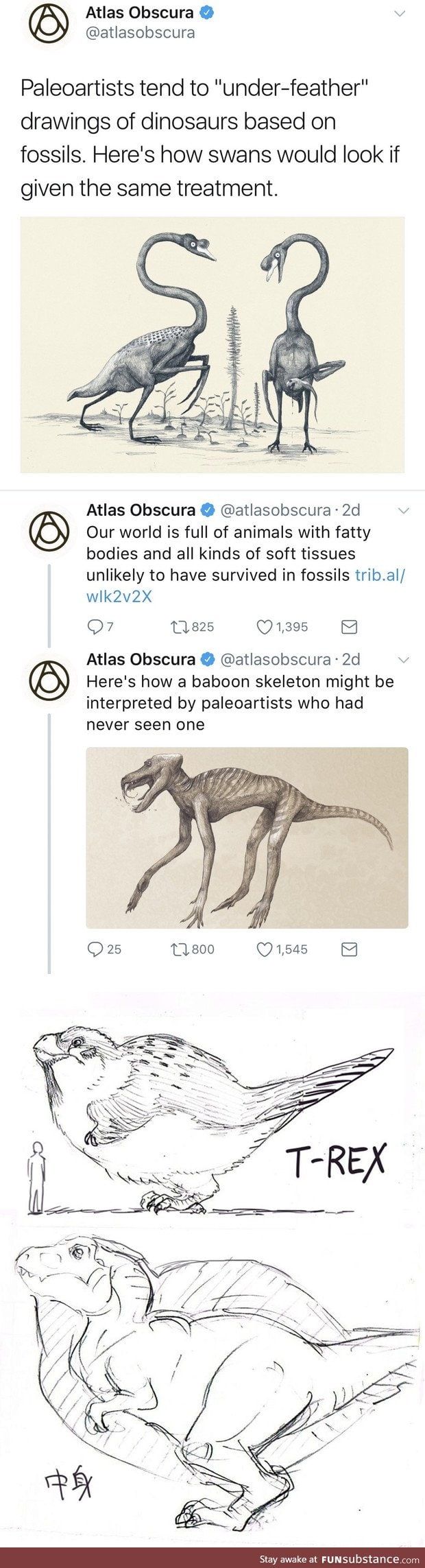 dino memes :3 | HoYoLAB