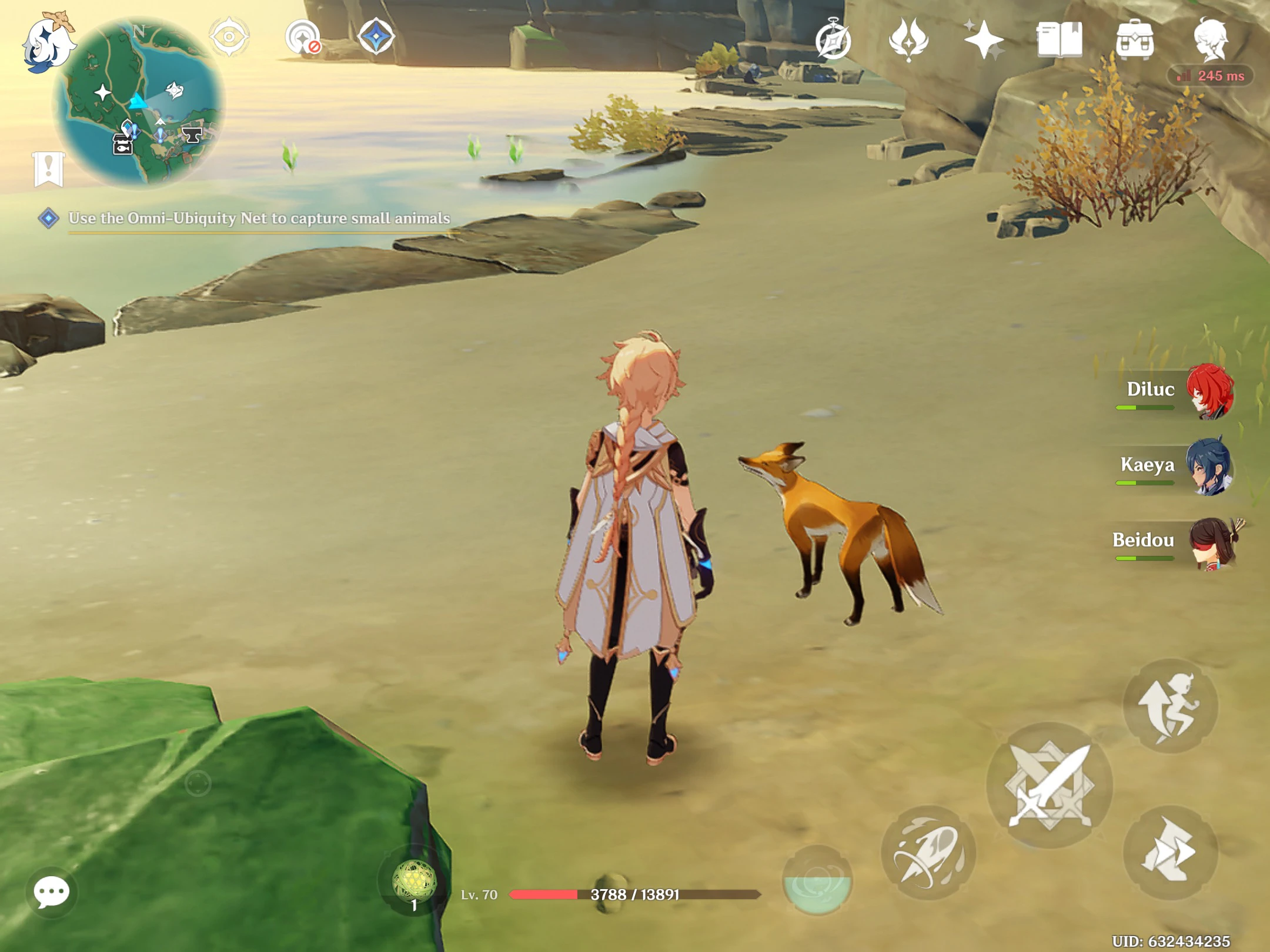 Fox Genshin Impact | HoYoLAB