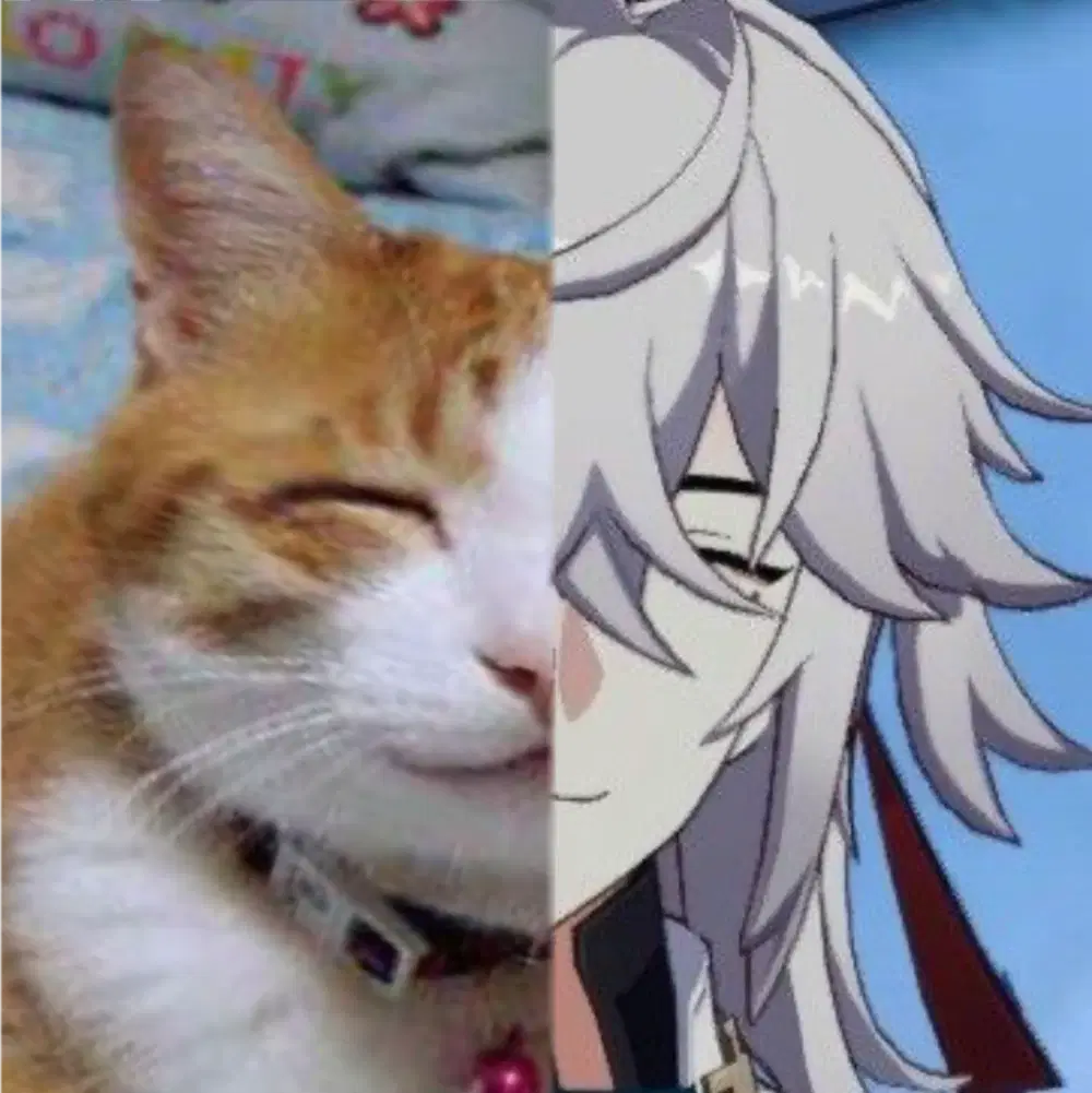 half cat anime