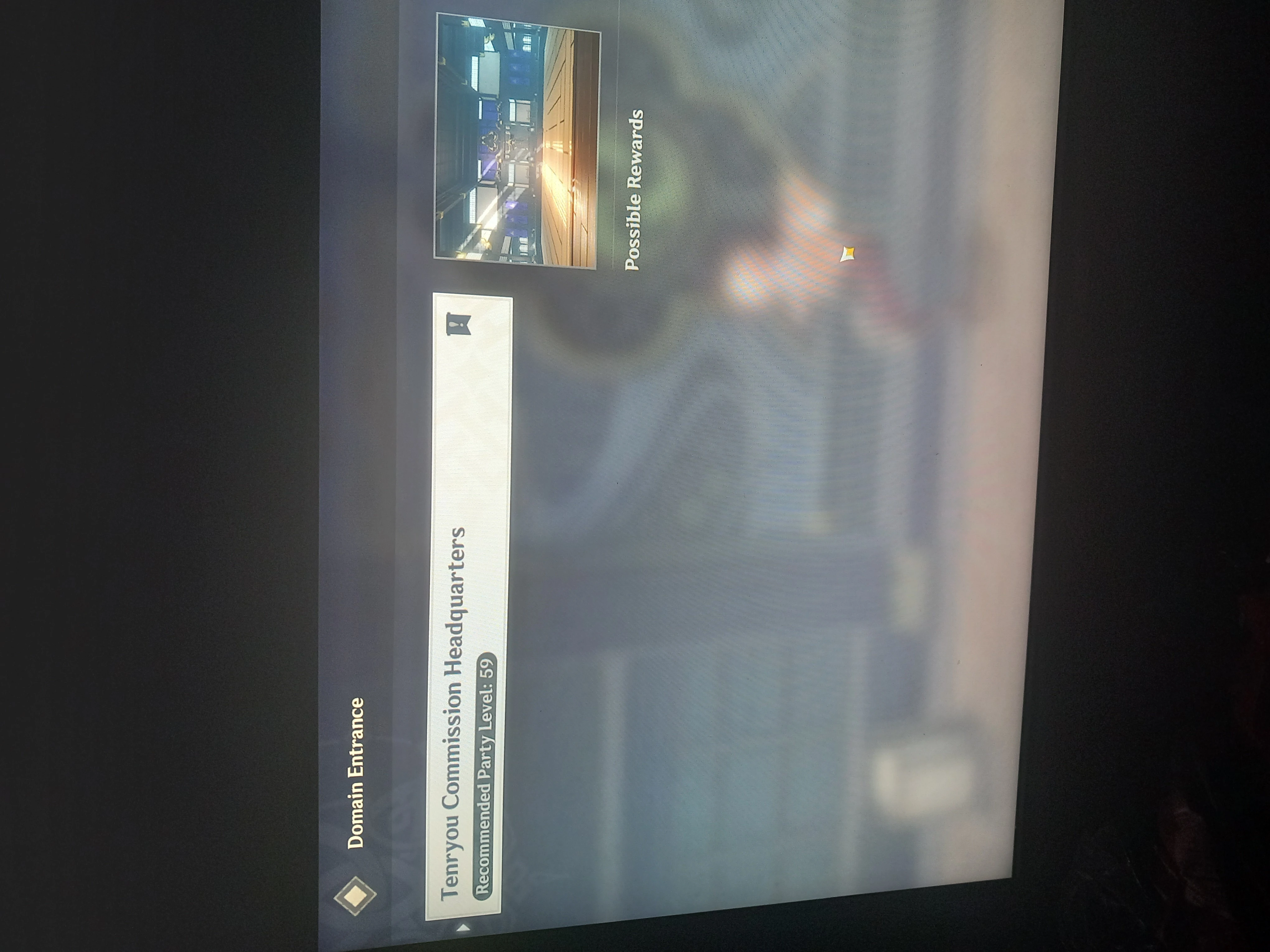 So I go to enter the tenryou headquarters, still on inazuma, and see ...