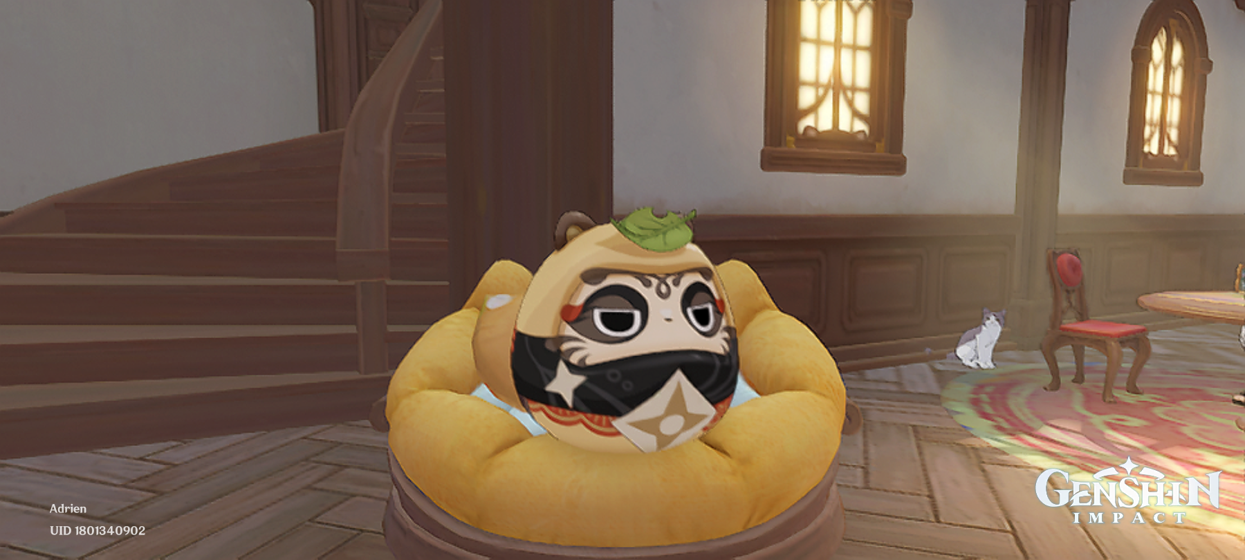 A lil nap after card games~ Genshin Impact | HoYoLAB