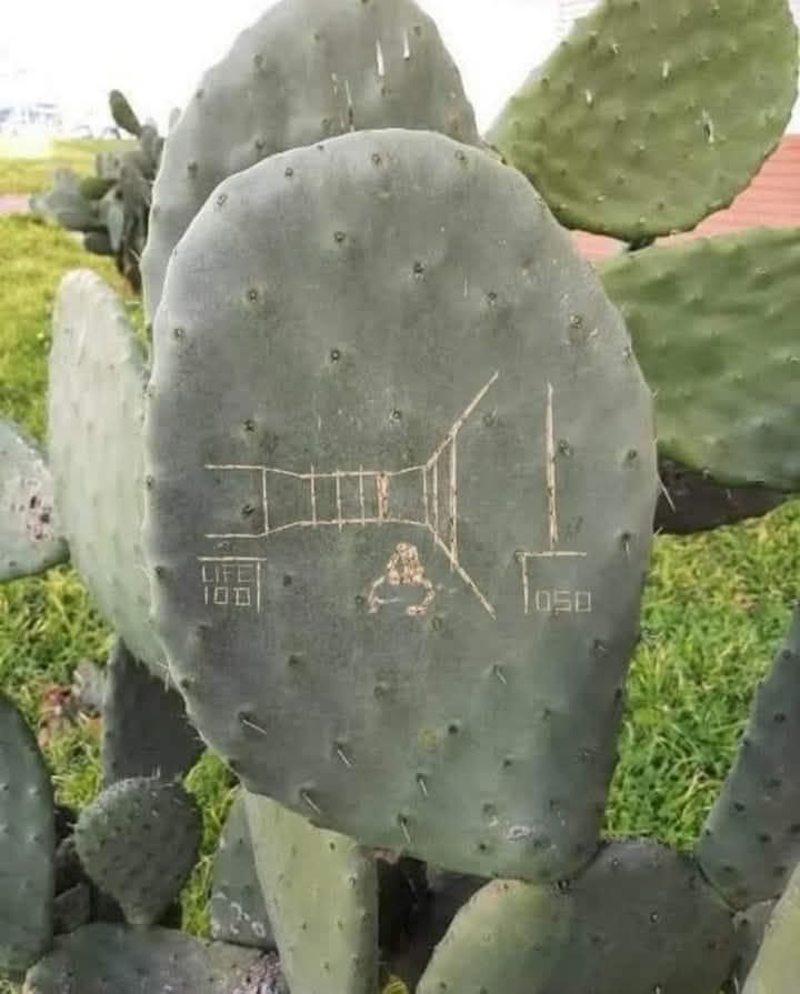 Bro running Doom on cactus | HoYoLAB